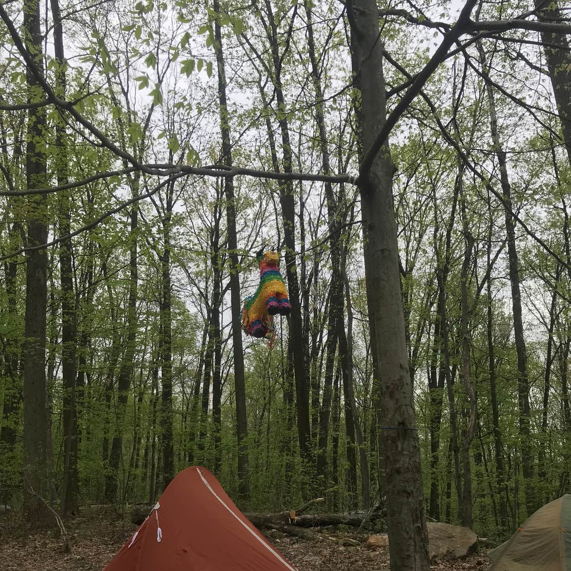 Blue Rocks Family Campground Camping | The Dyrt