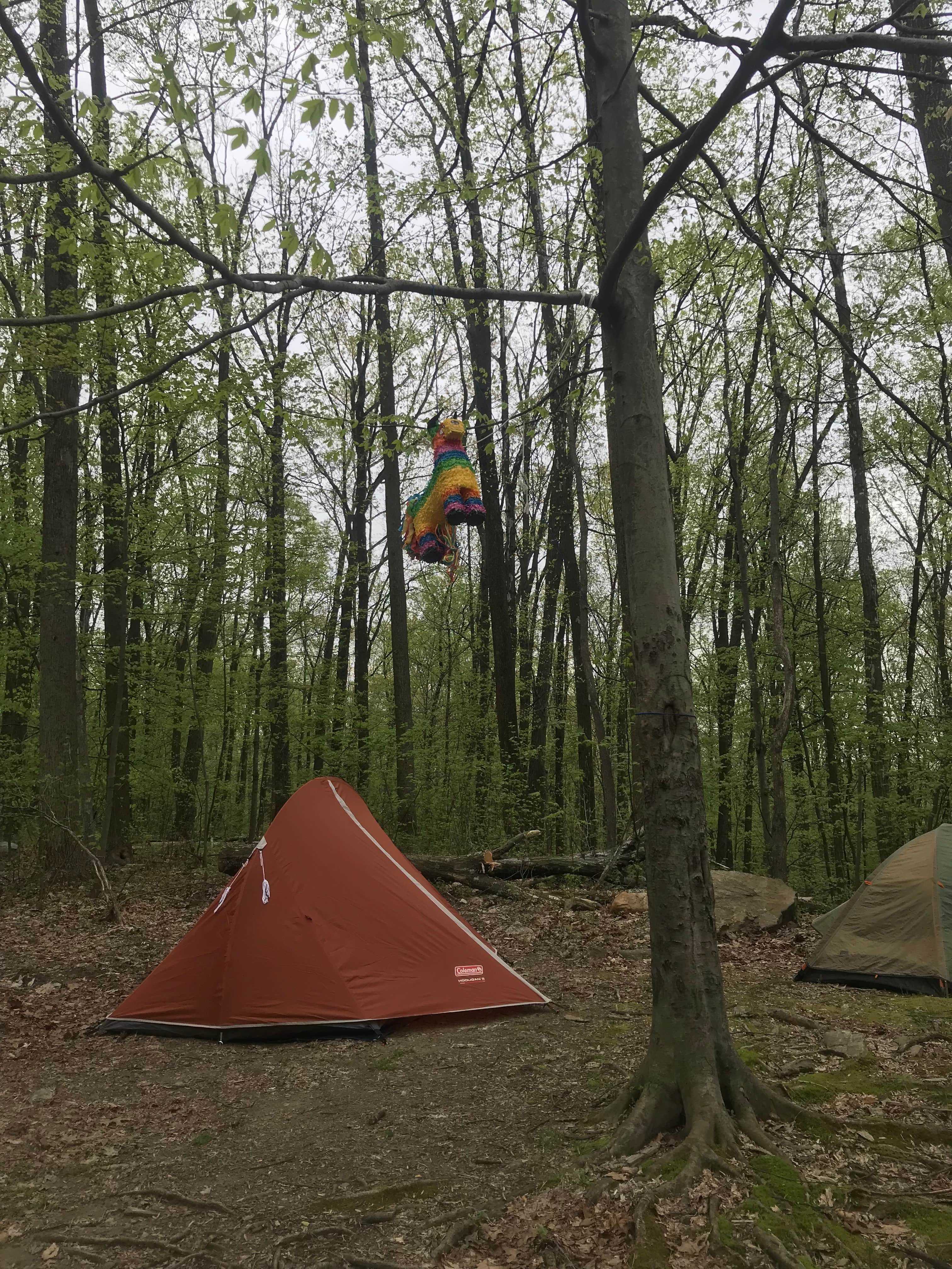 Blue Rocks Family Campground | Lenhartsville, PA