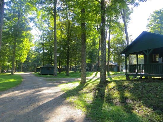 Red House Area — Allegany State Park State Park Camping | Salamanca, NY