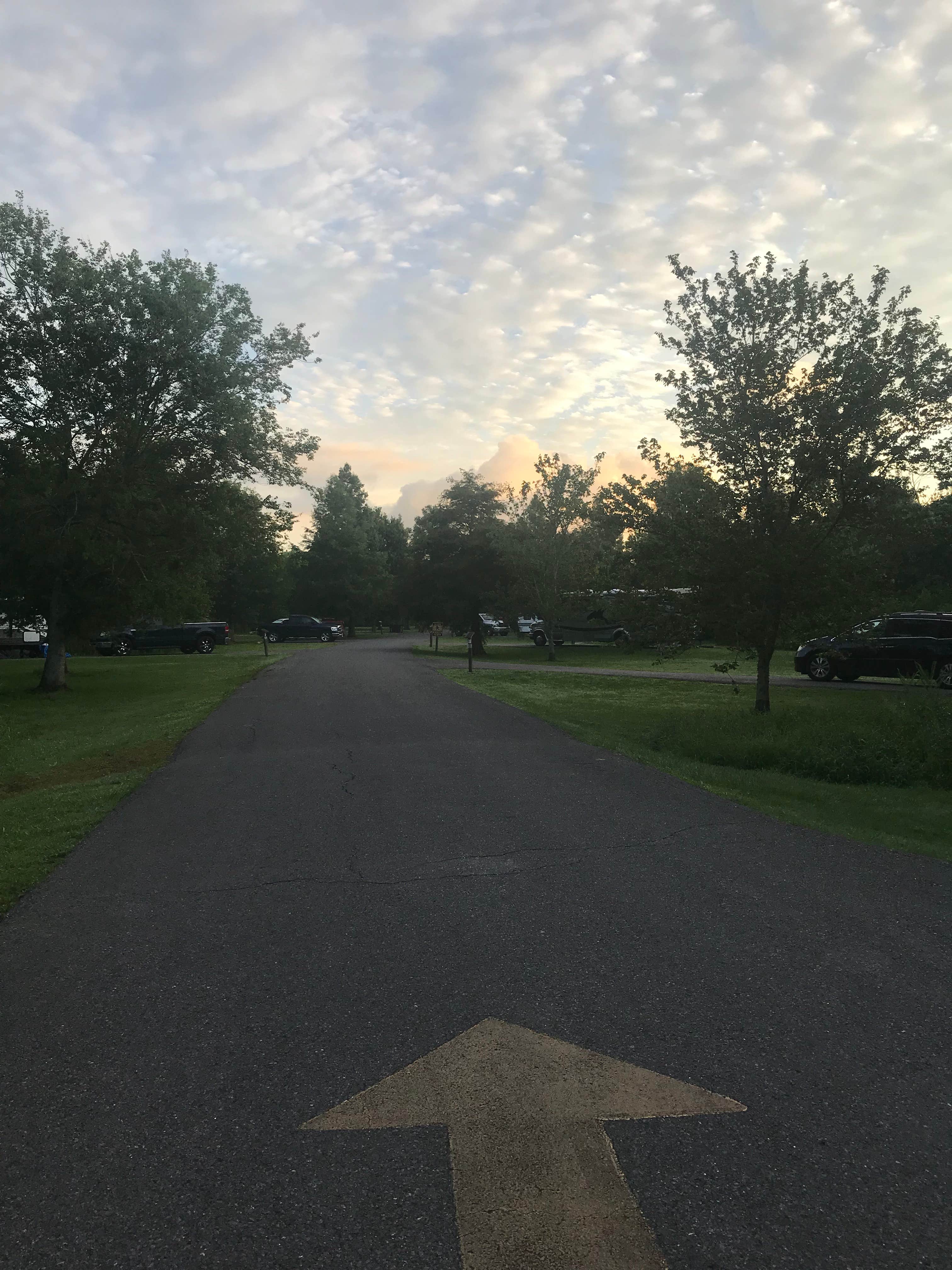 Bayou Segnette State Park Campground | Westwego, Louisiana