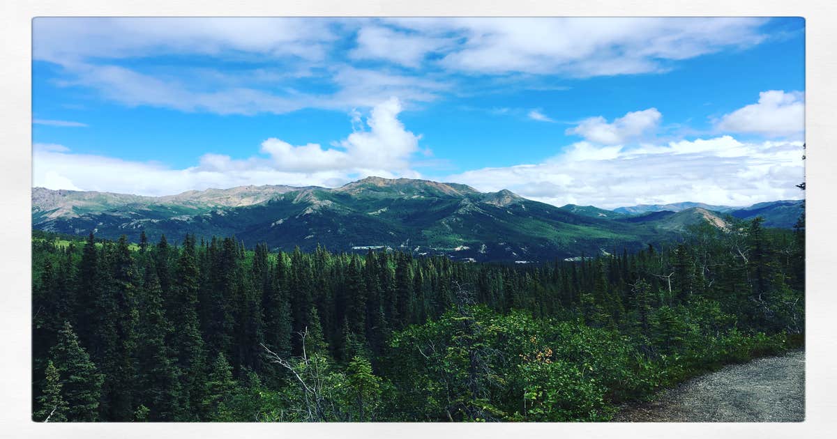 Riley Creek Campground — Denali National Park | Healy, Alaska