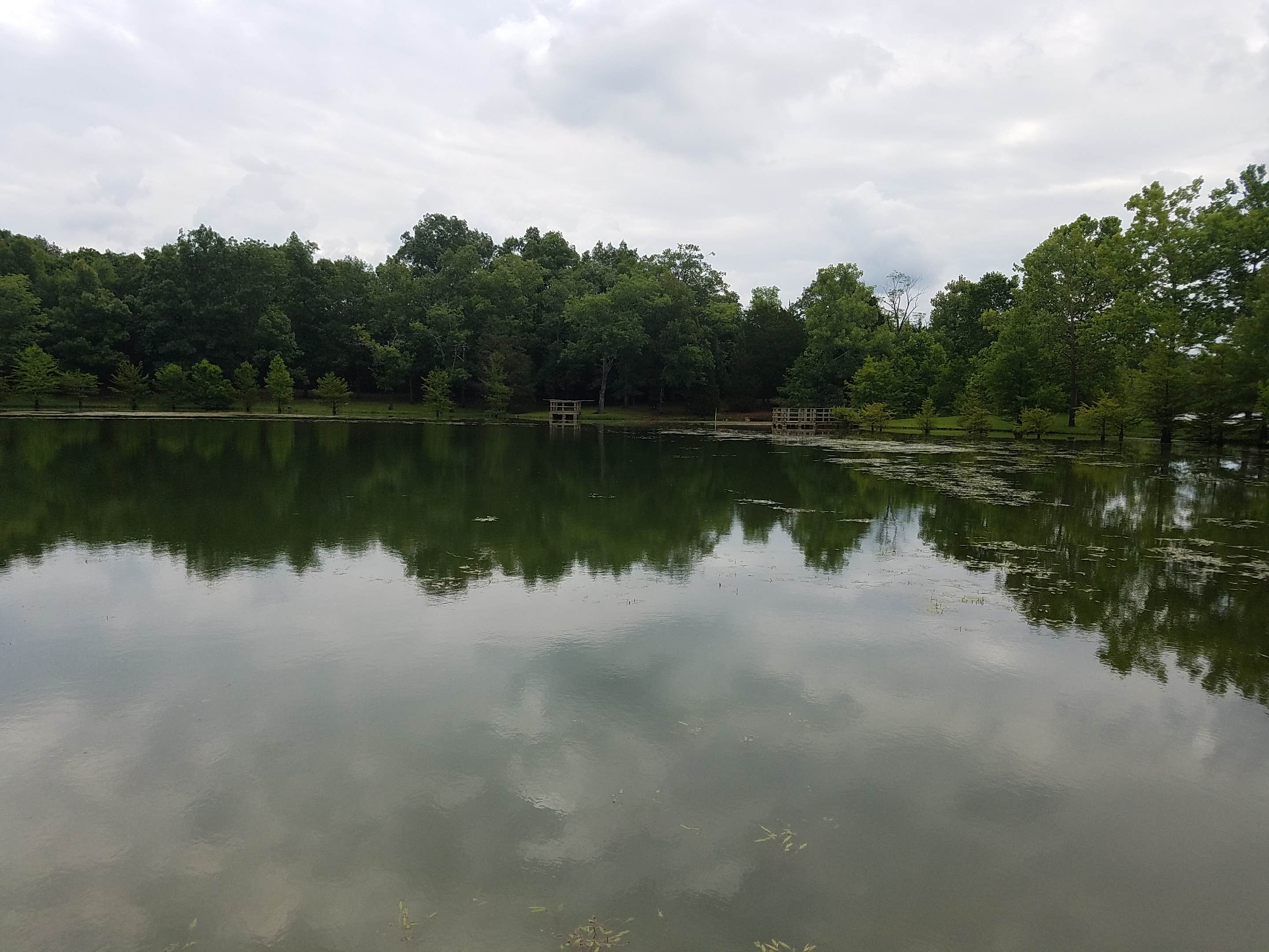 Cook - J. Percy Priest Reservoir Camping | J Percy Priest Lake, TN