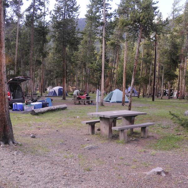 Madison Campground Camping | The Dyrt
