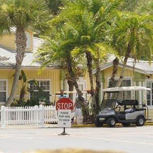 Encore Tropical Palms Camping | The Dyrt