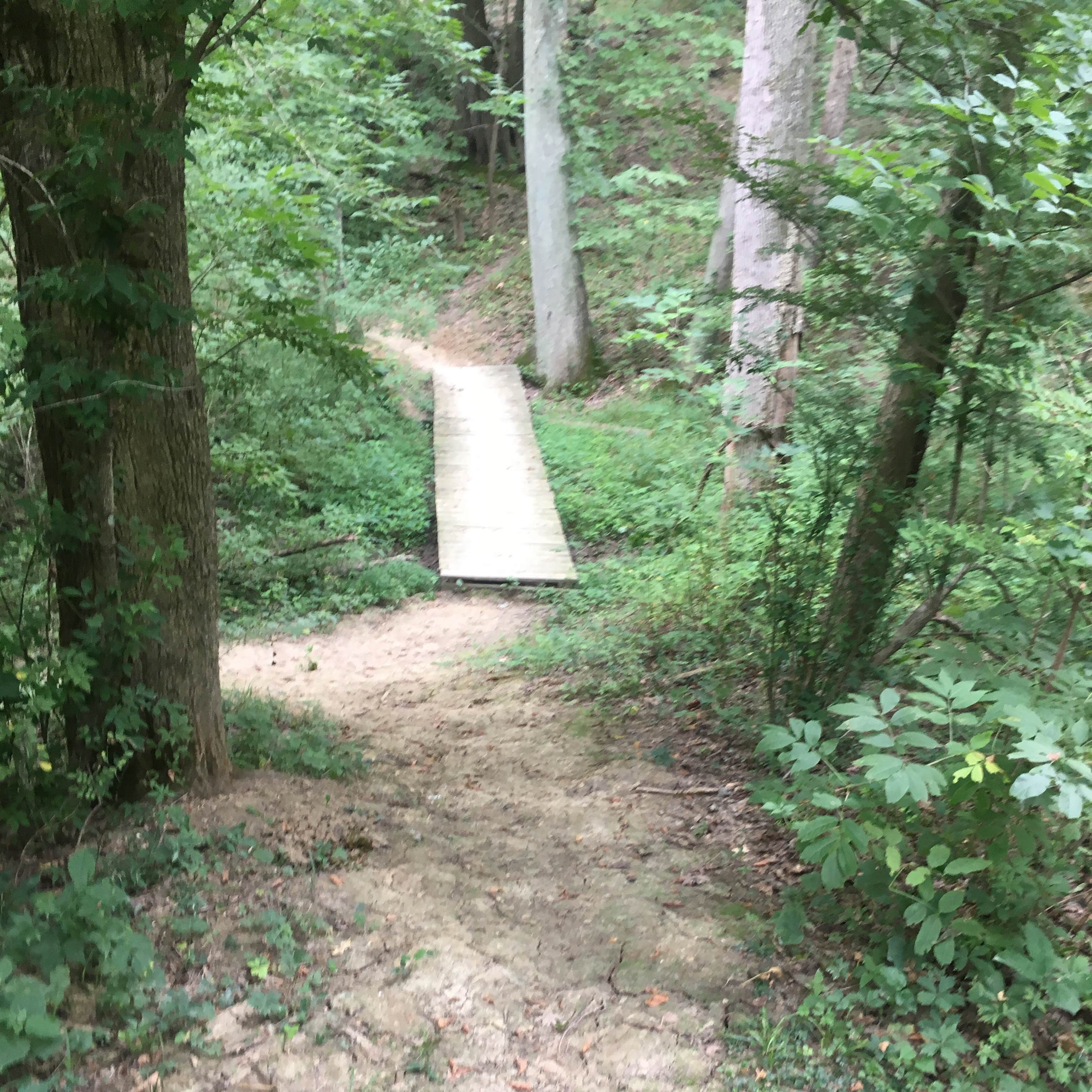 General Butler State Resort Park Camping | The Dyrt