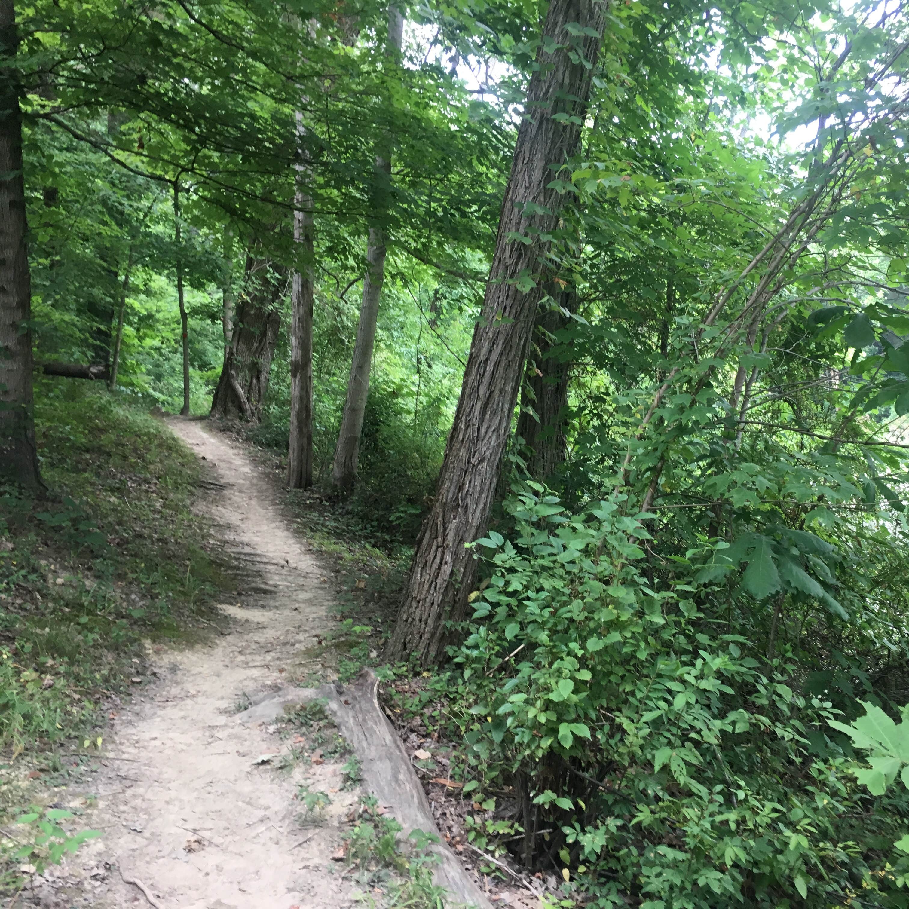 General Butler State Resort Park Camping | The Dyrt