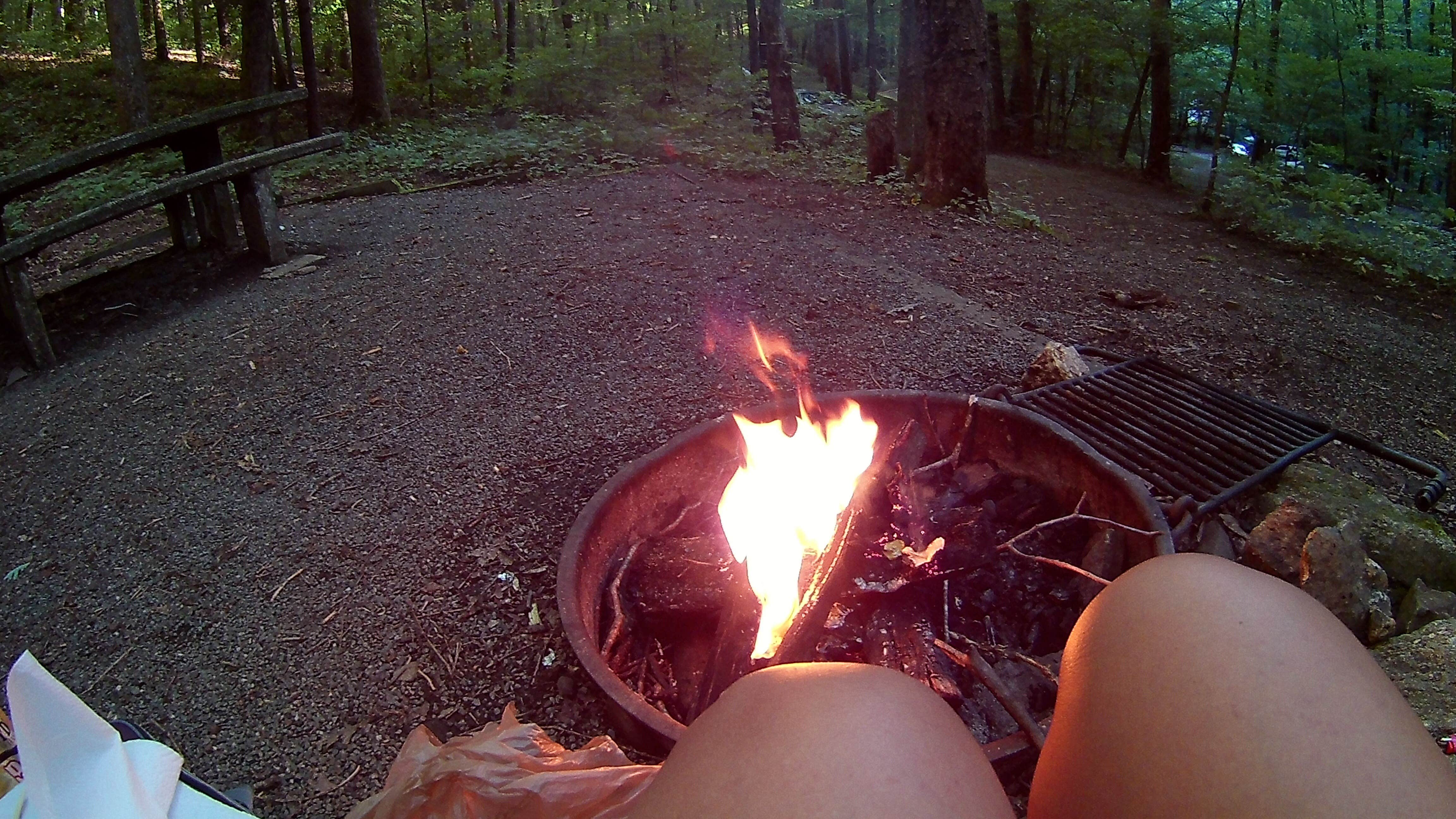 Andrew's Cove Campground — Chattahoochee Oconee National Forest | Helen, GA