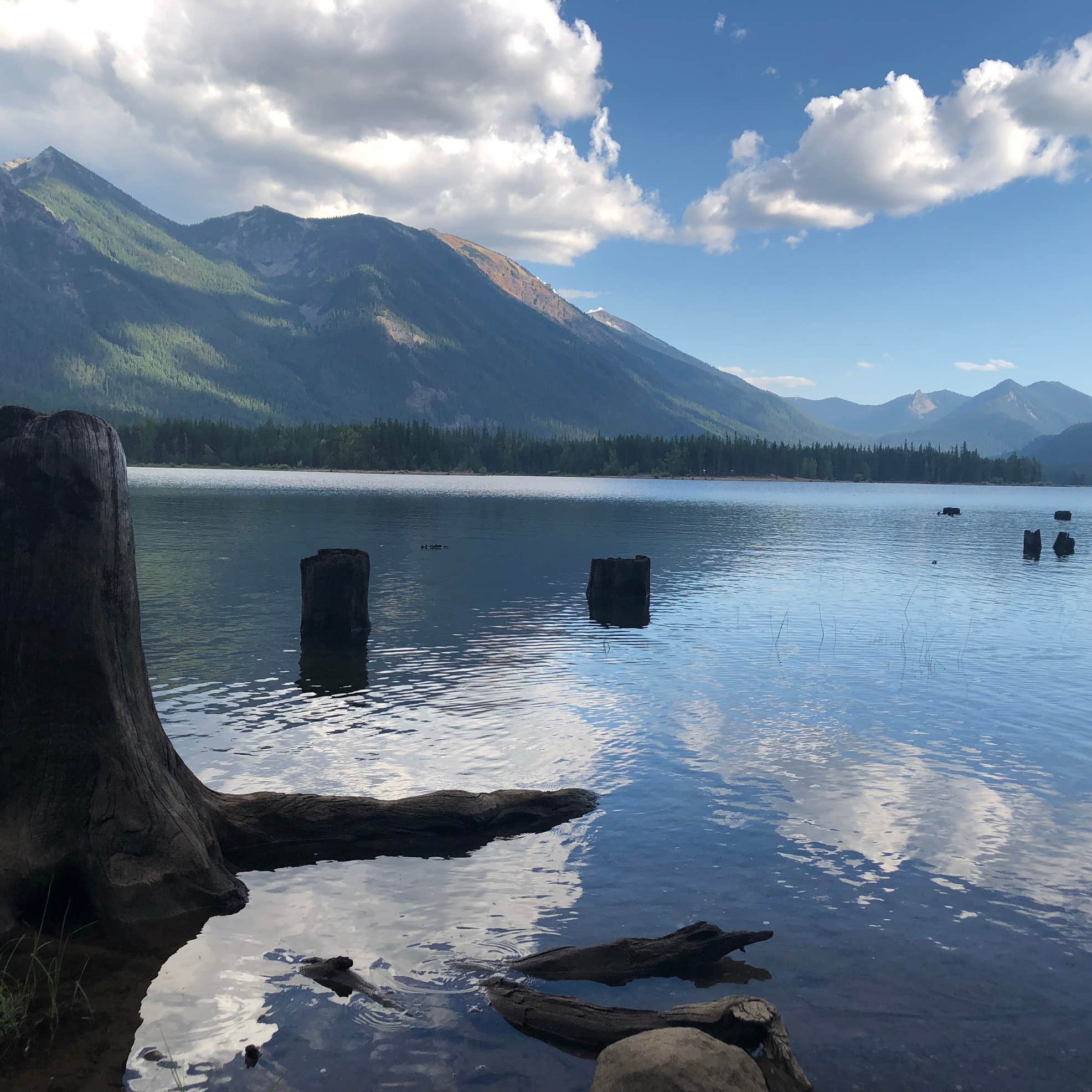 Cedar Springs Campground (WA) Camping | The Dyrt