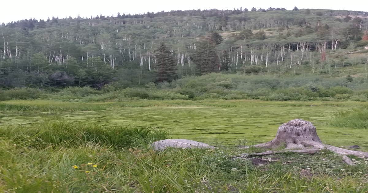Fulford Cave Camping | Edwards, CO