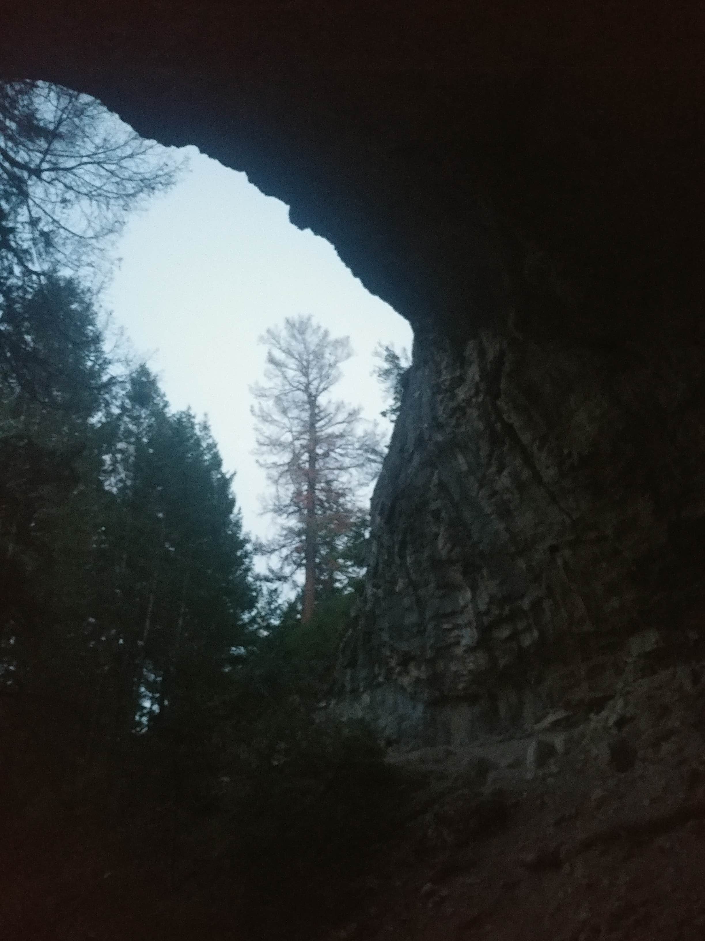 South Fork Campground | The Dyrt