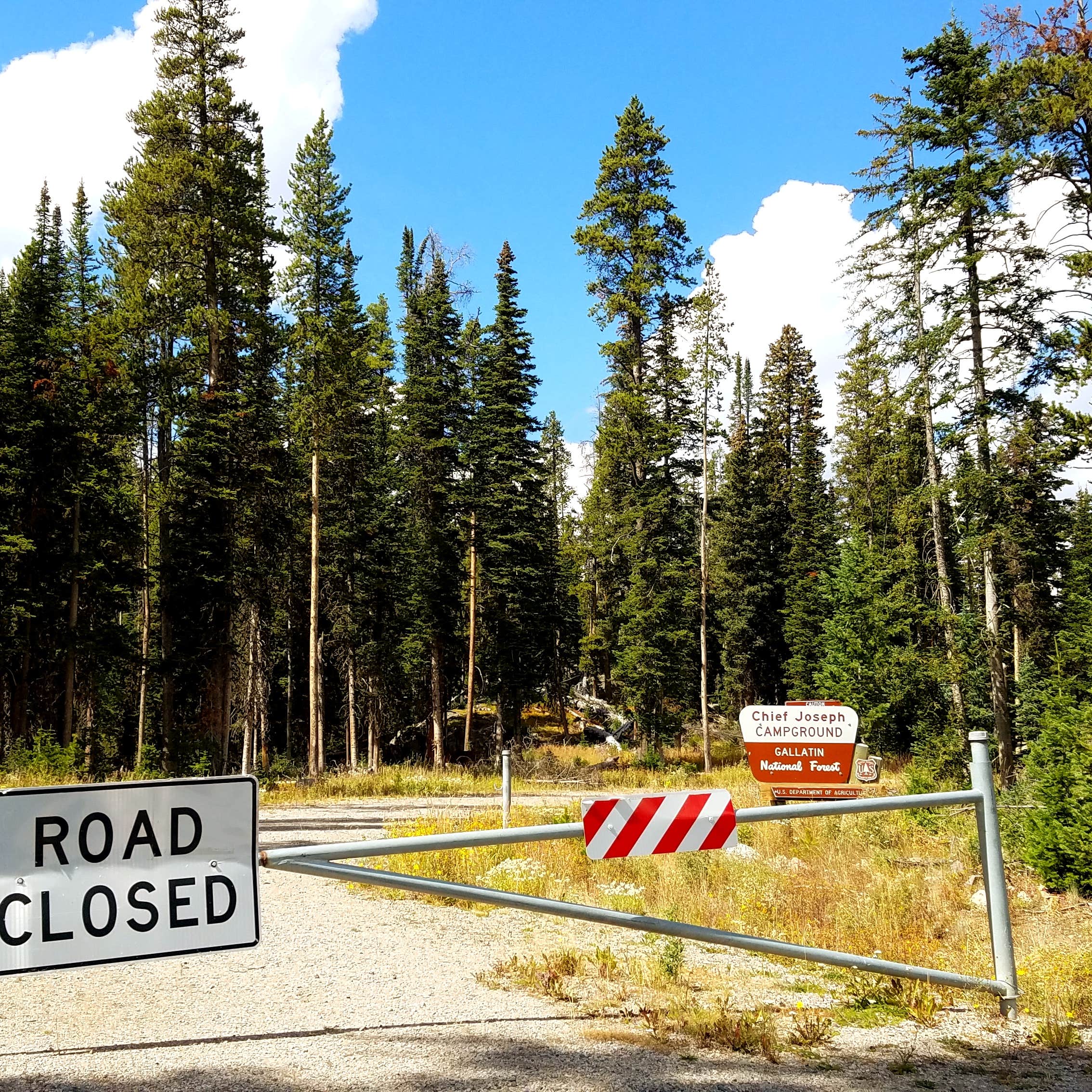 Chief Joseph Campground Camping | The Dyrt