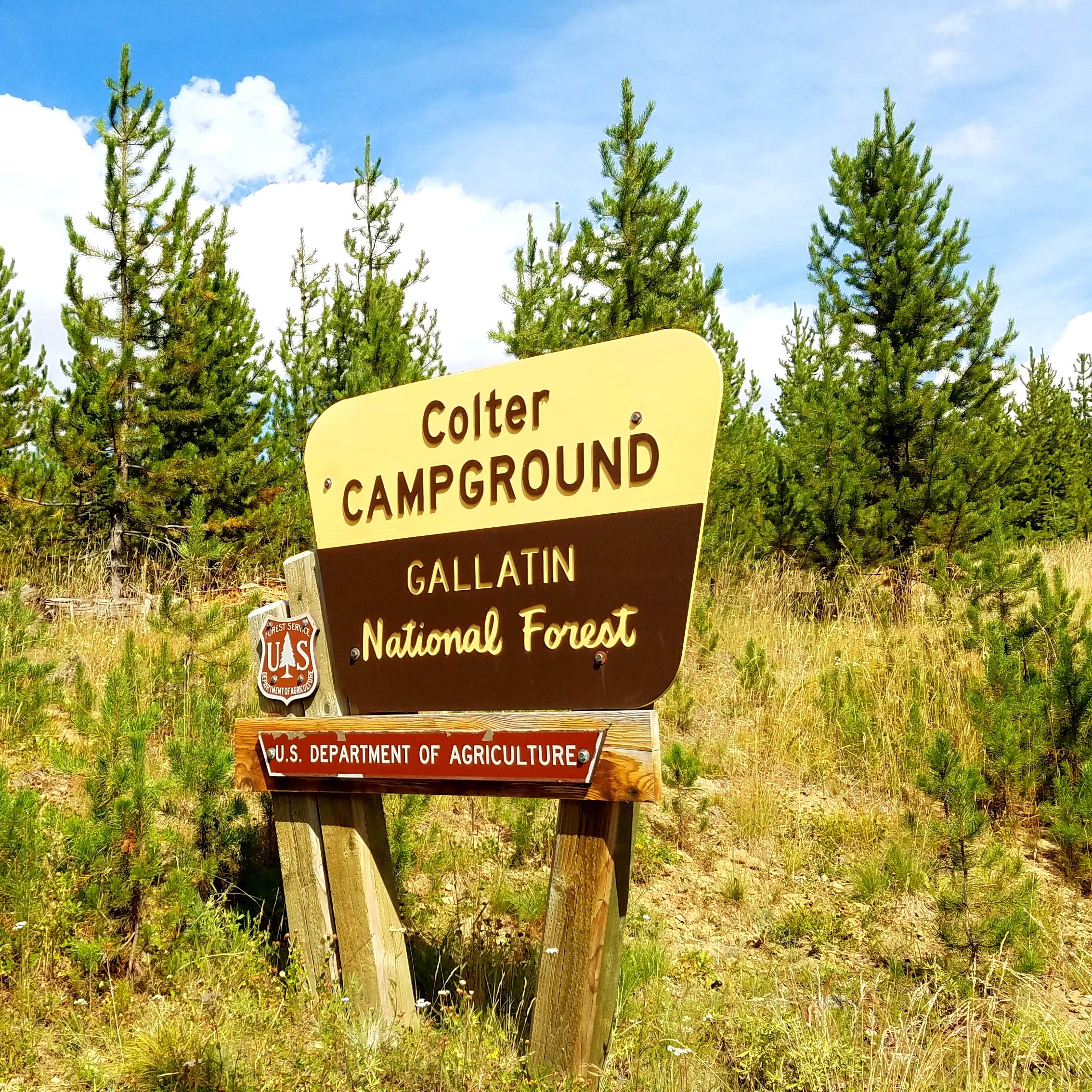 Colter Campground Camping | The Dyrt