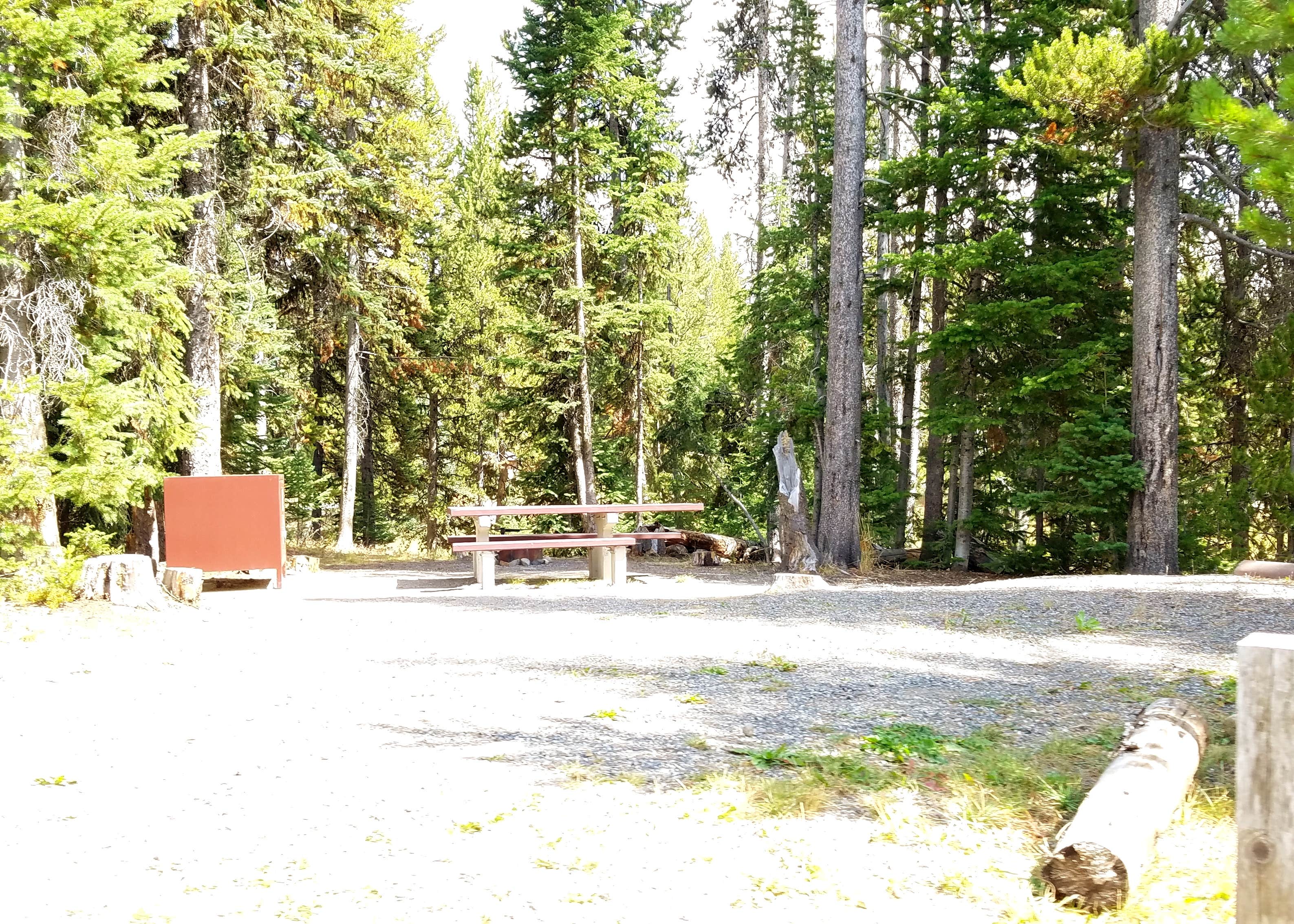 Colter Campground Camping | The Dyrt