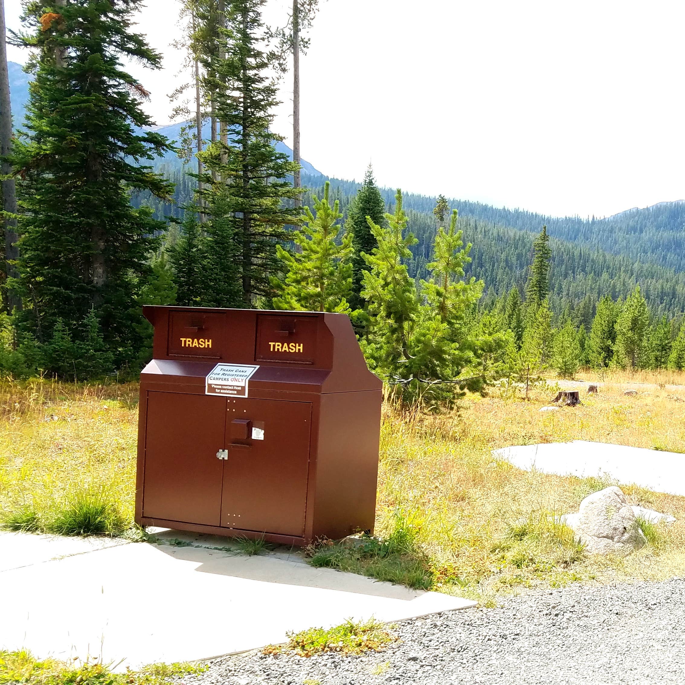 Colter Campground Camping | The Dyrt