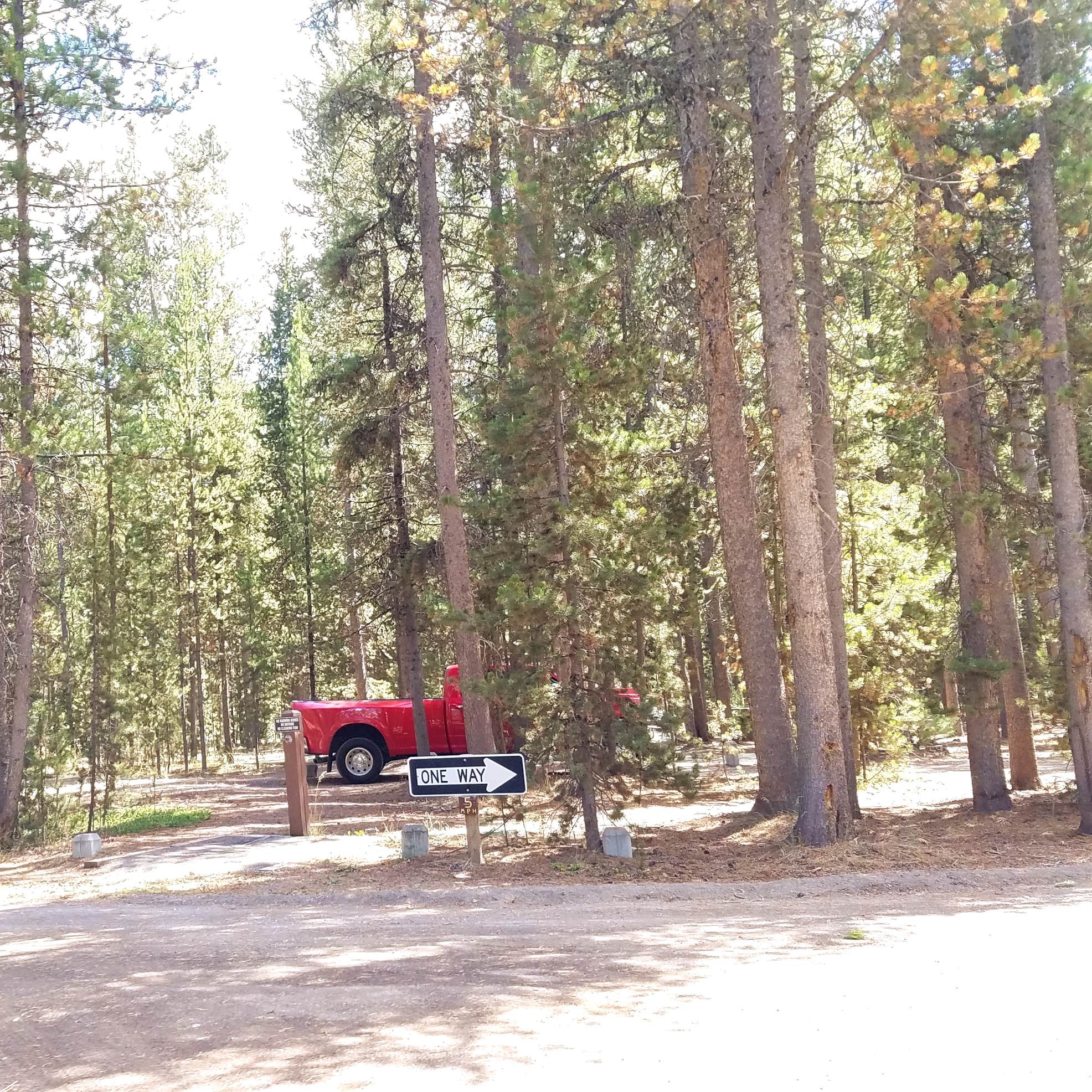 Rainbow Point Campground Camping | The Dyrt