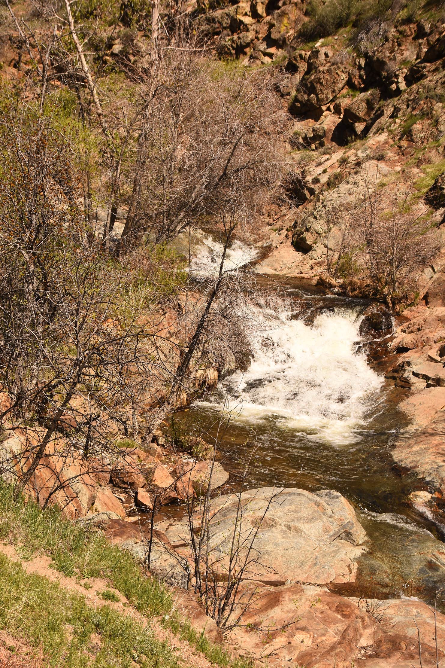 Limestone Campground Camping | The Dyrt