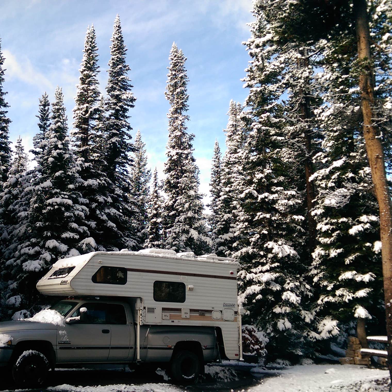 Lewis Lake - Yellowstone National Park Camping | The Dyrt