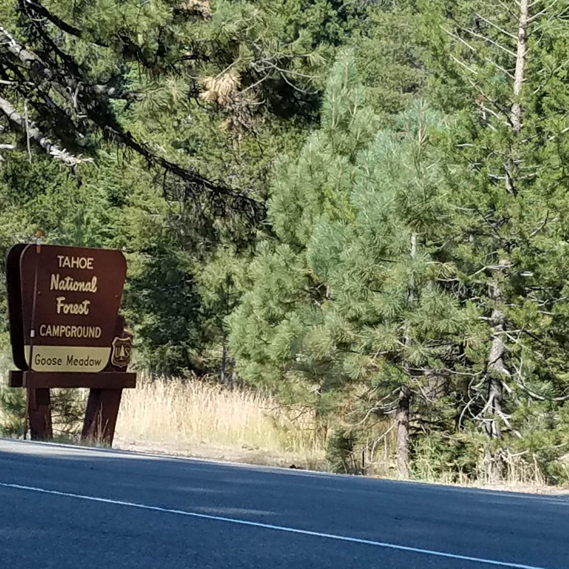 Goose Meadows Camping | The Dyrt