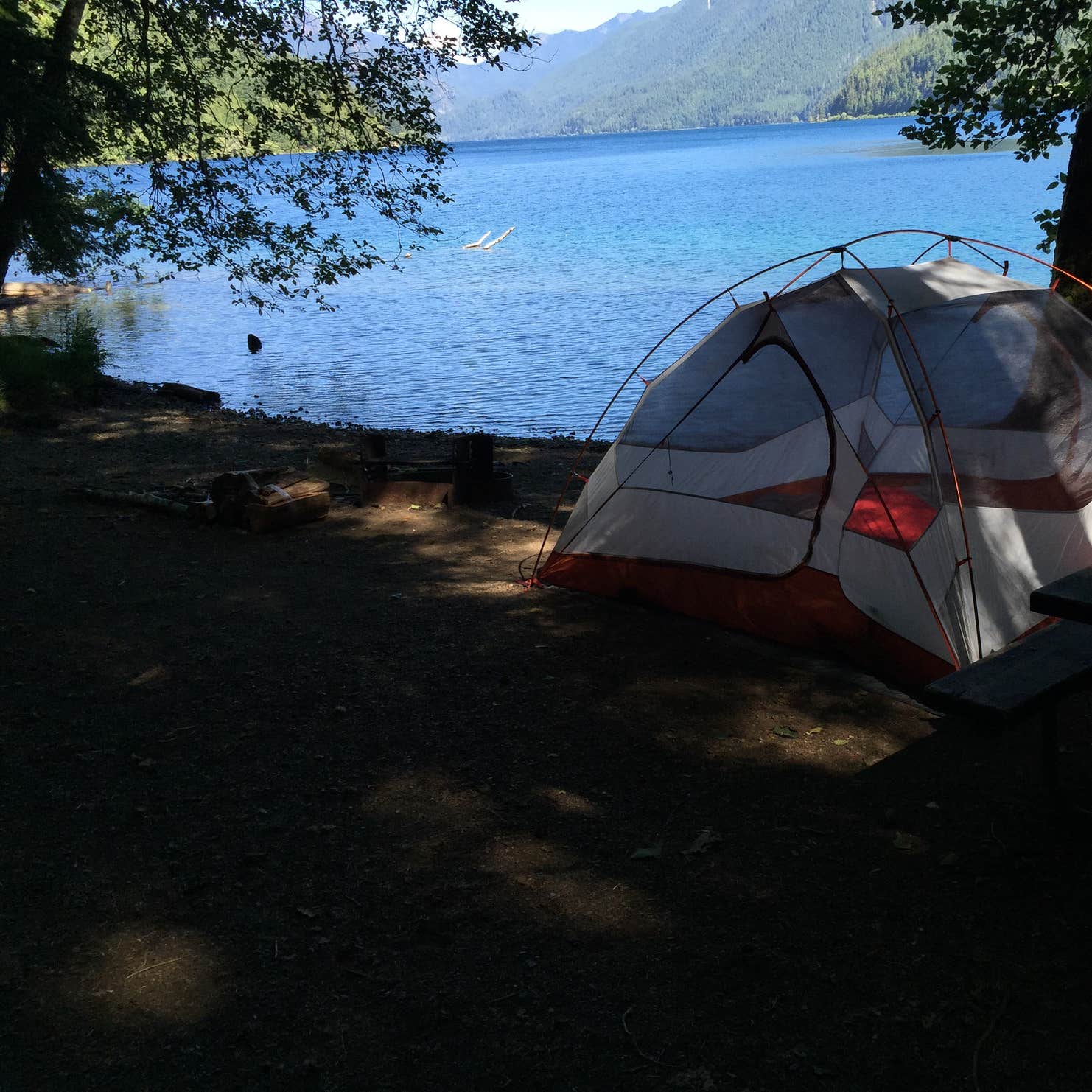Fairholme Campground - Olympic National Park Camping | The Dyrt