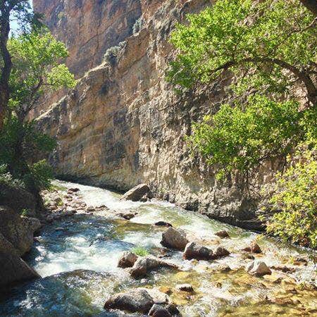 Shell Creek Camping | The Dyrt