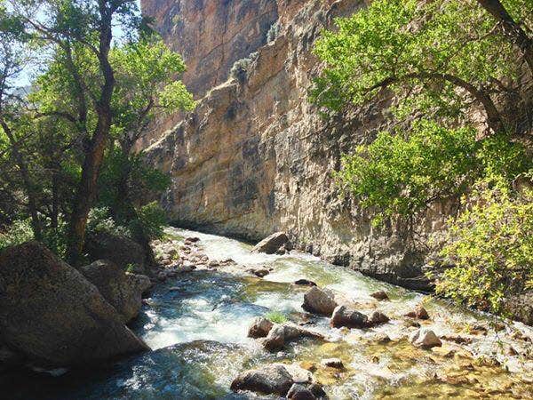 Shell Creek Camping | Greybull, WY