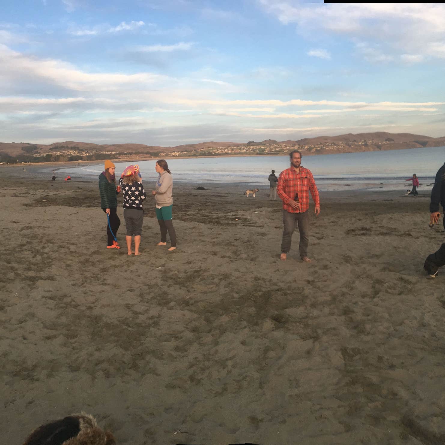 Doran Regional Park Camping | The Dyrt