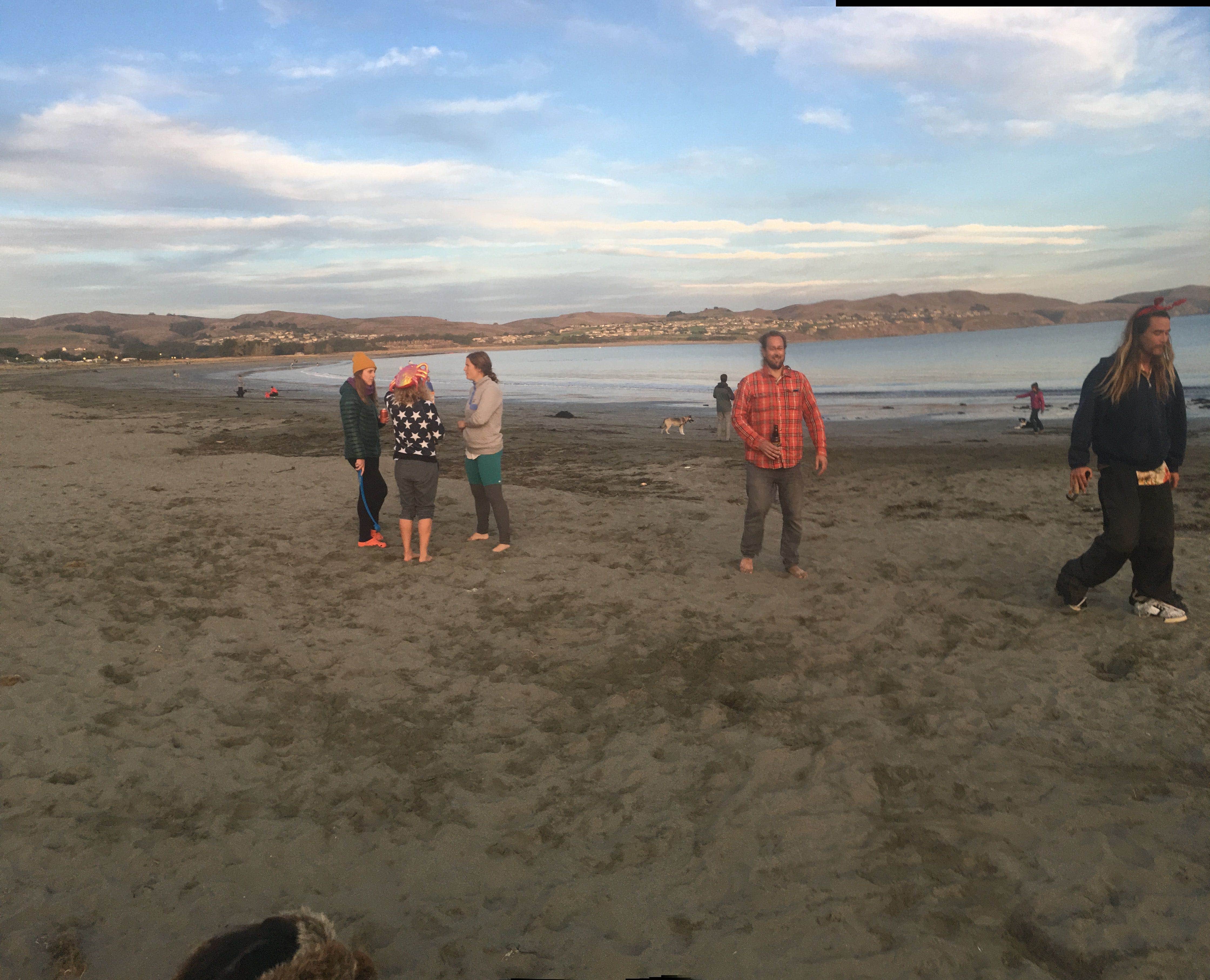 Doran Regional Park Camping | Bodega Bay, California