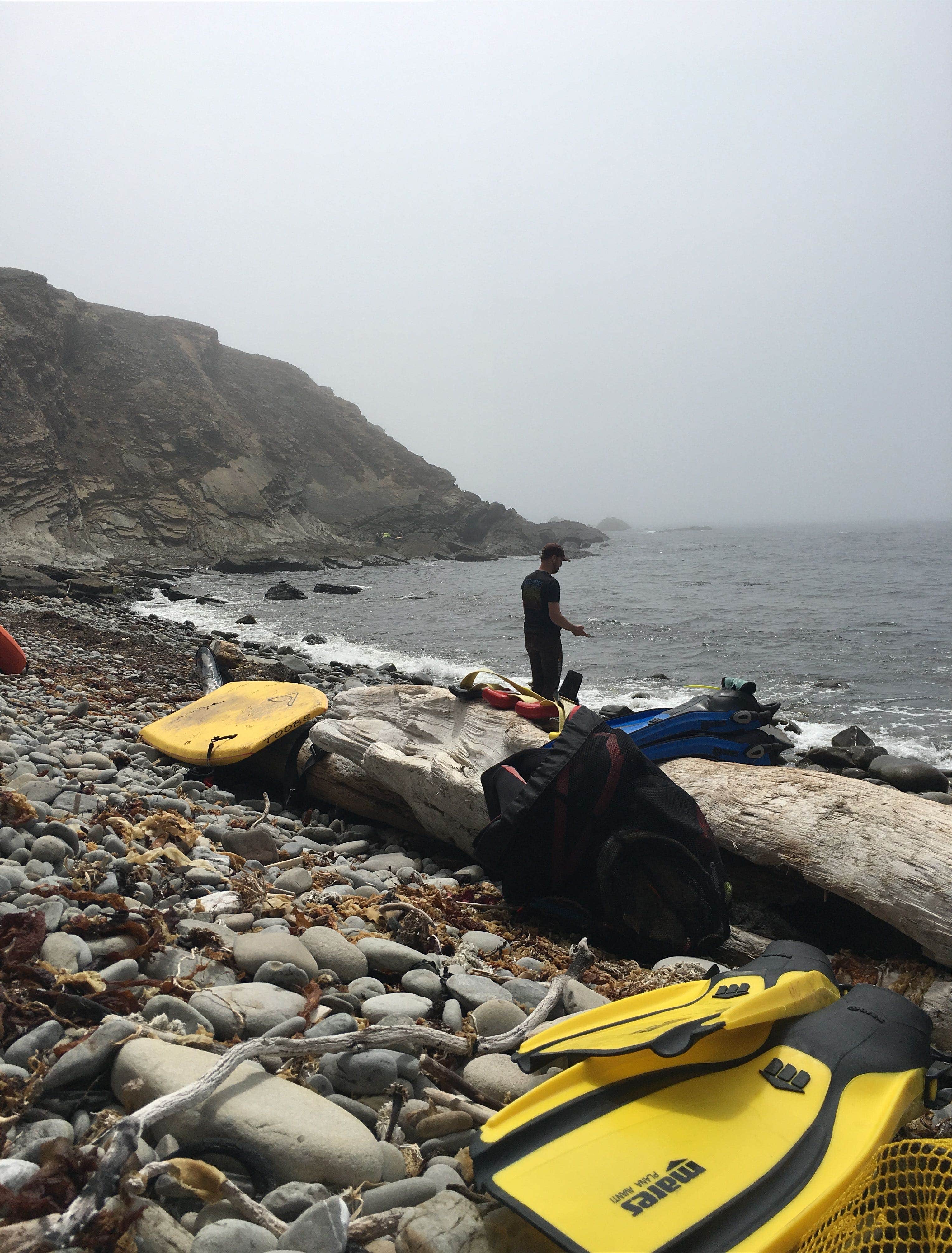 Woodside Campground — Salt Point State Park | Jenner, CA