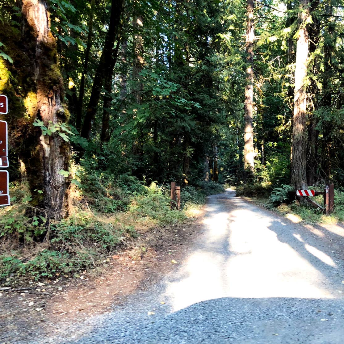 Milo McIver State Park Camping | The Dyrt