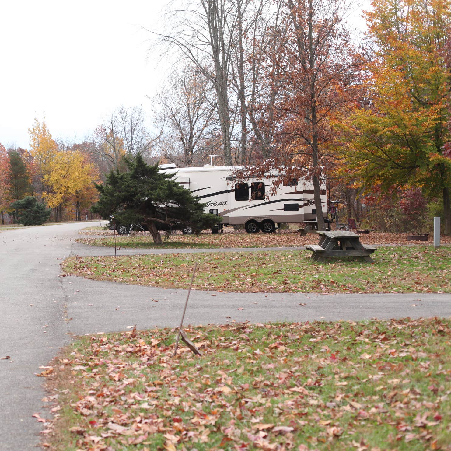 Deam Lake State Rec Area Camping | The Dyrt