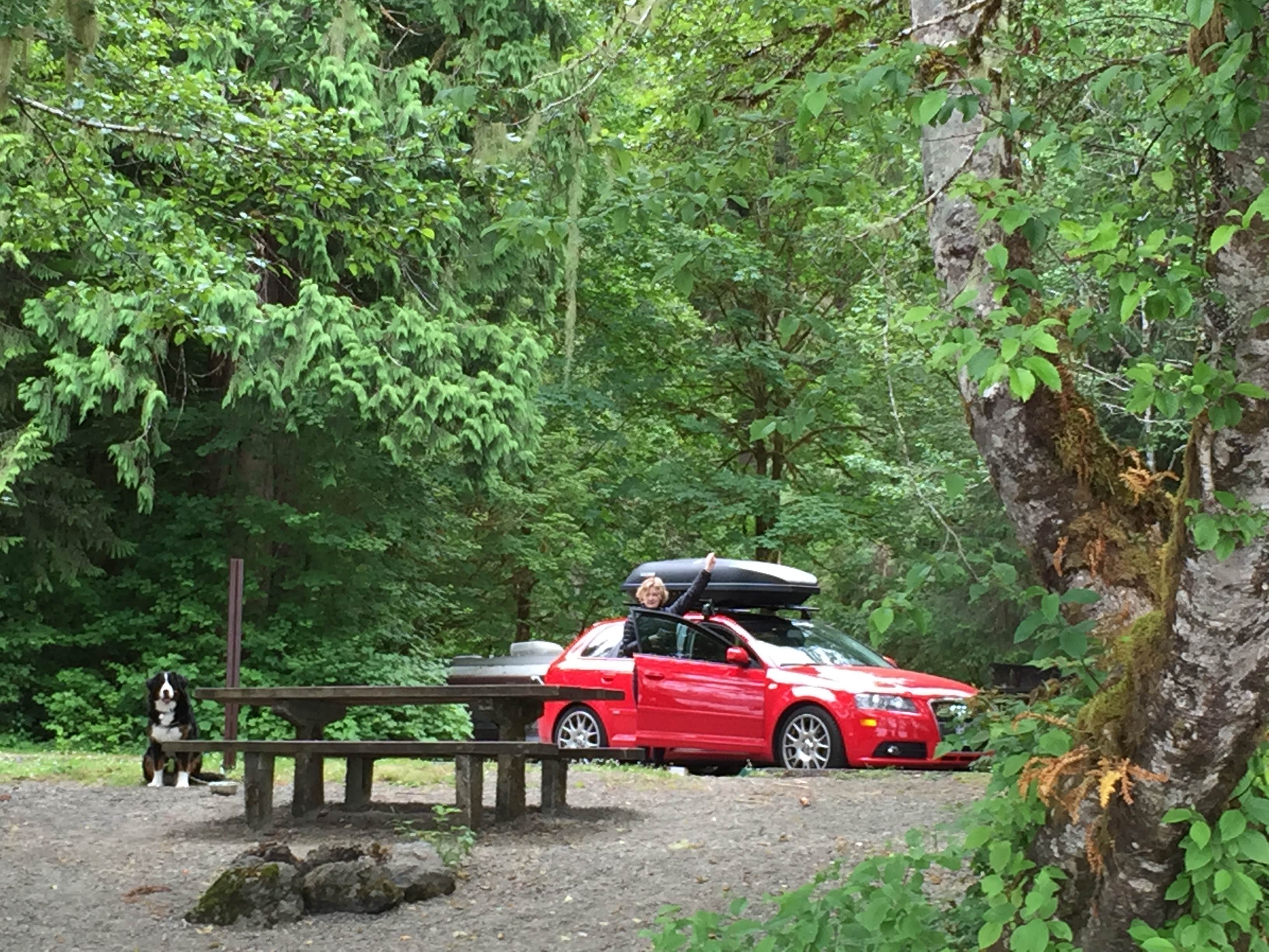 Willaby Campground | Quinault, WA