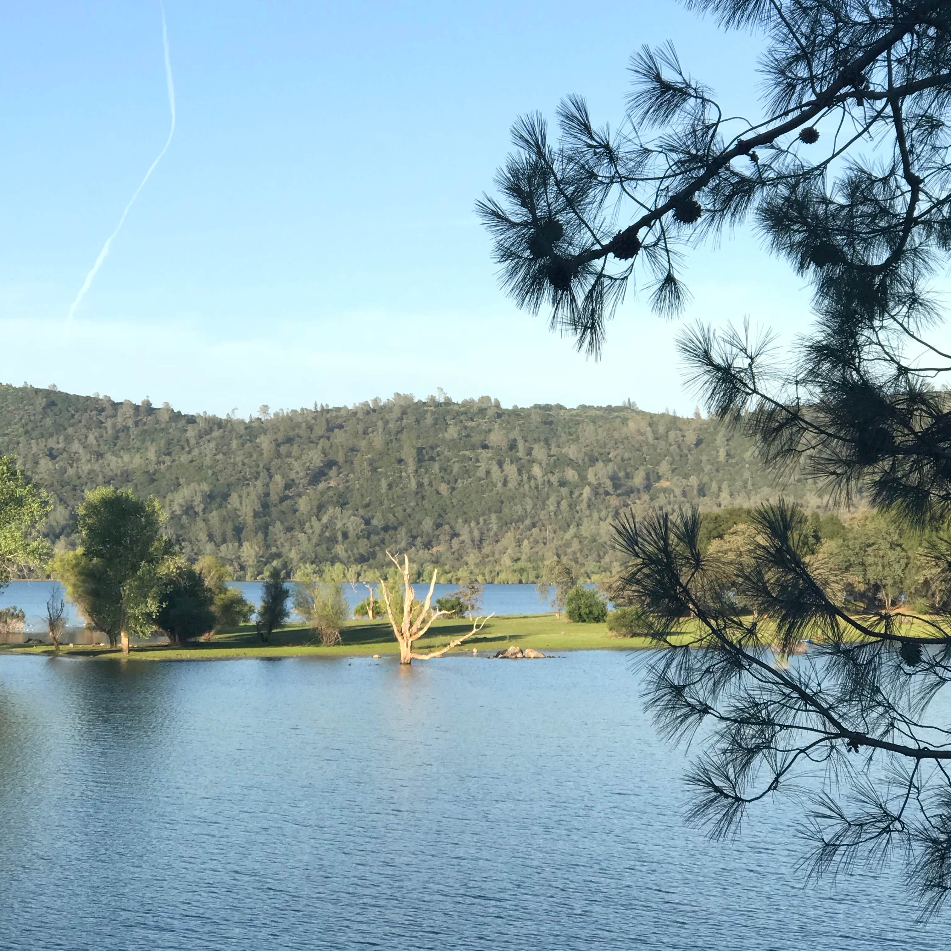 Collins Lake Recreation Area Camping | The Dyrt