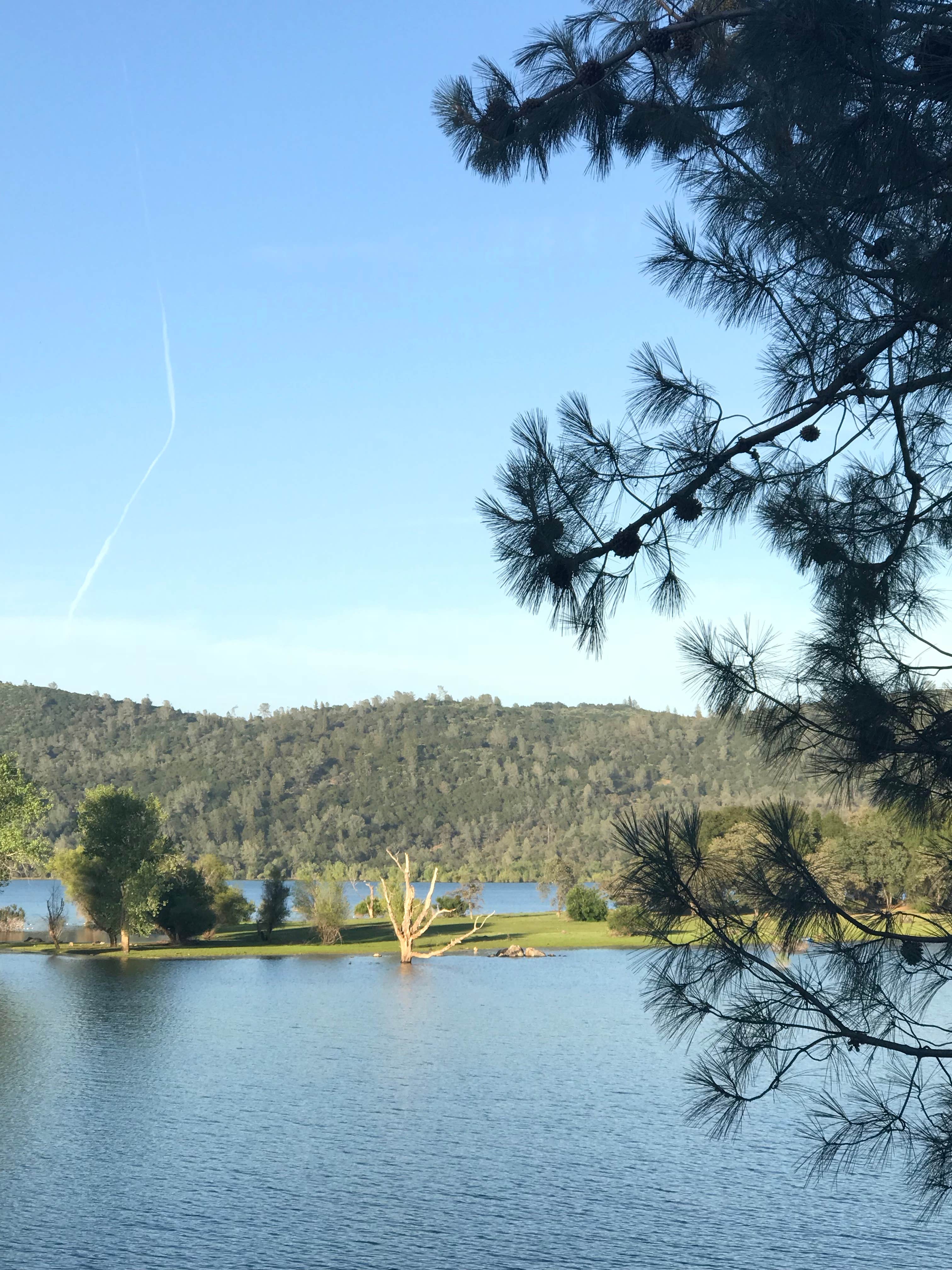 Collins Lake Recreation Area Camping | Oregon House, California
