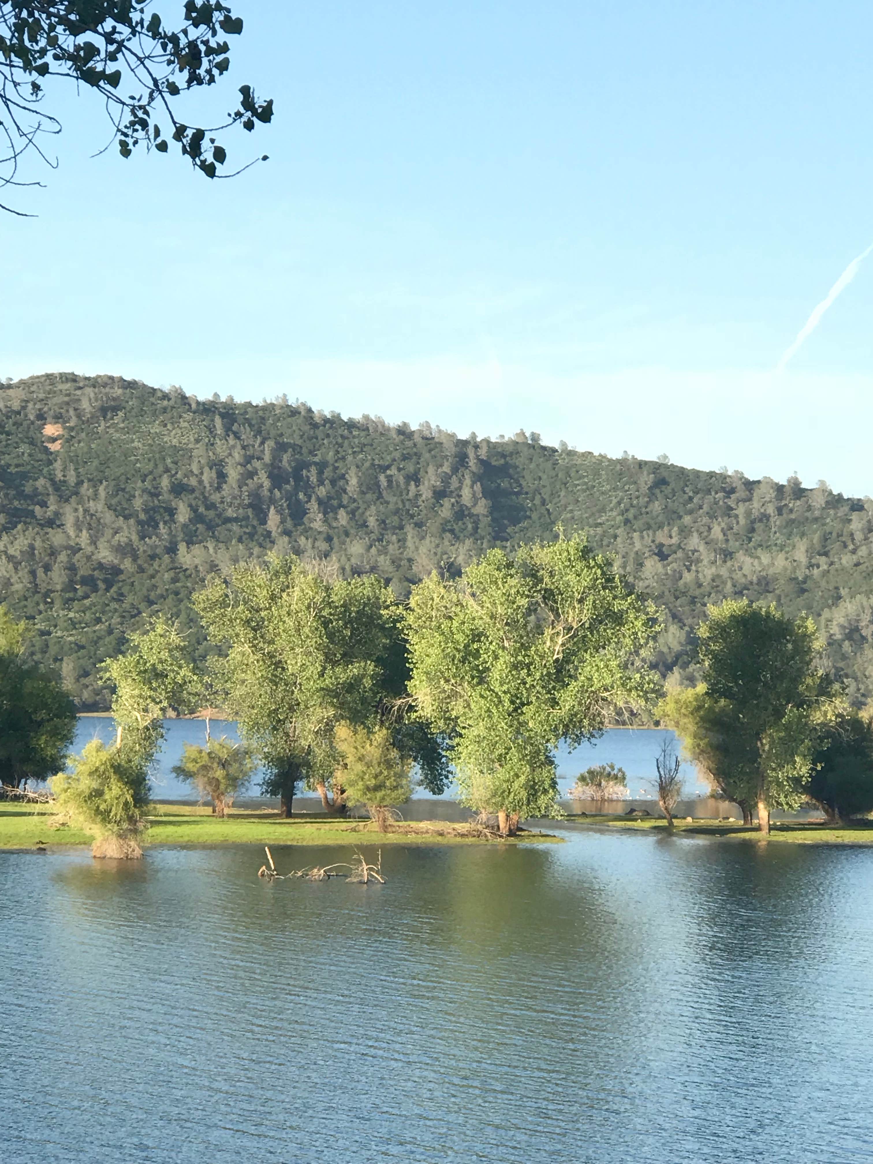 Collins Lake Recreation Area Camping | Oregon House, CA