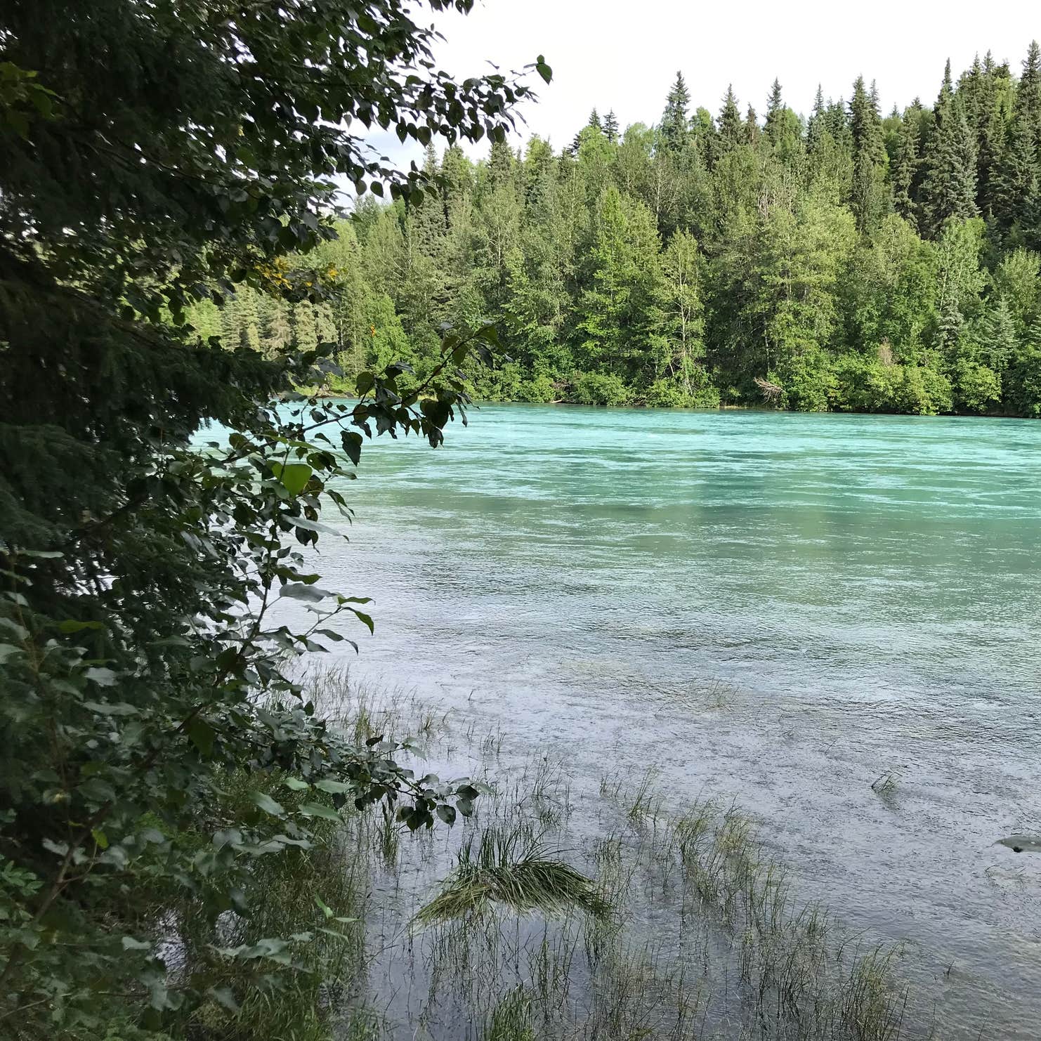 Kenai Princess Wilderness Lodge & RV Park Camping | The Dyrt