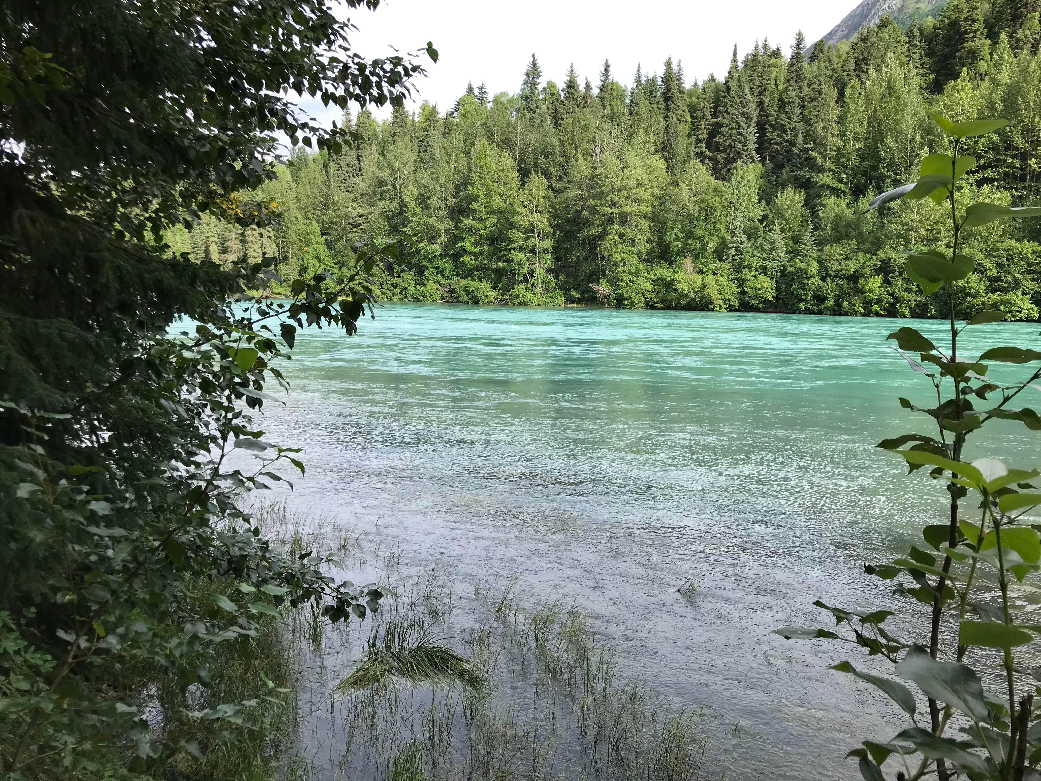 Kenai Princess Wilderness Lodge & RV Park | Cooper Landing, AK
