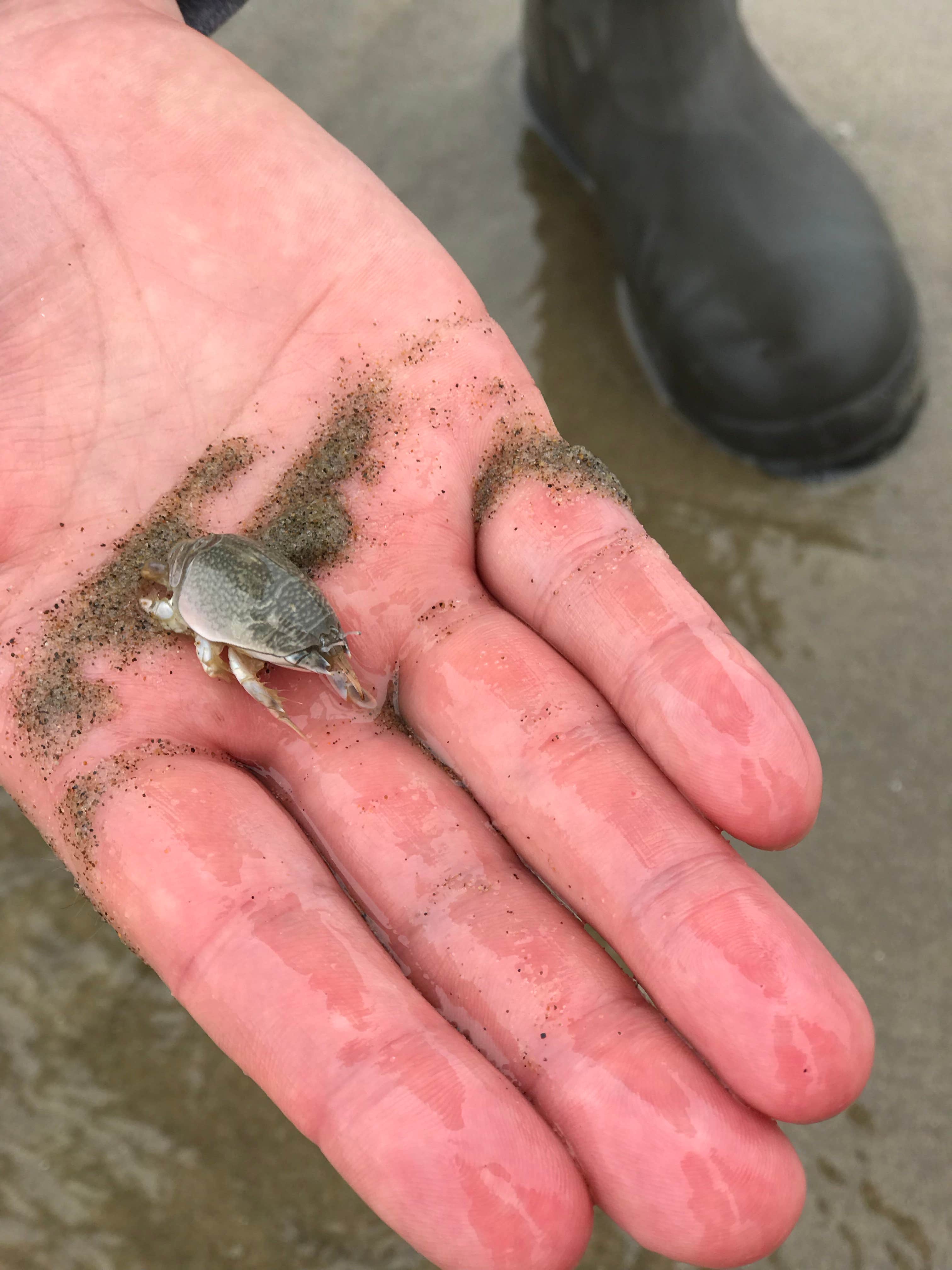 Tillicum Beach Campground | Waldport, OR