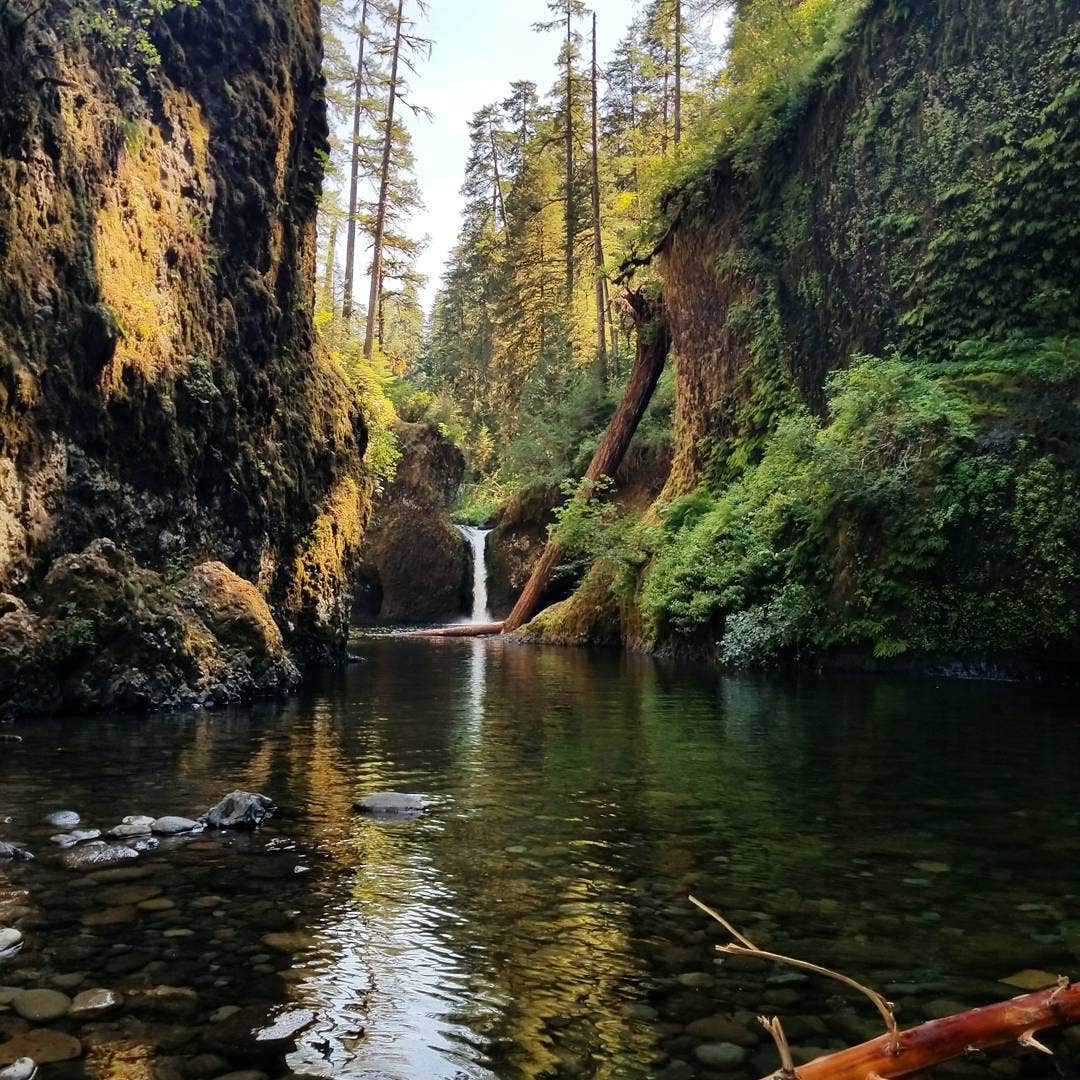 Eagle Creek Overlook Group Campground | North Bonneville, Washington