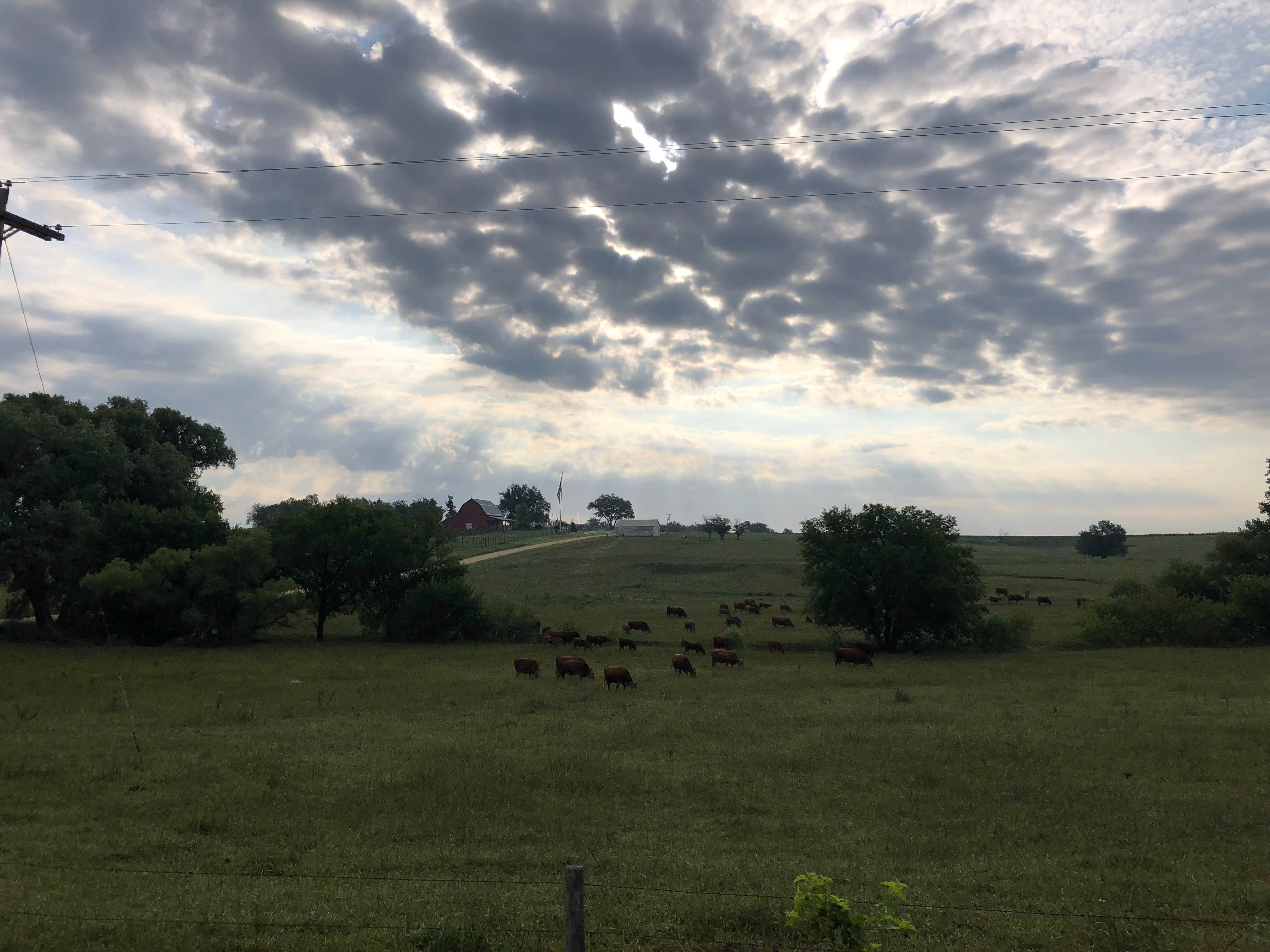 Cedar Point Campground — Lovewell State Park | Webber, KS