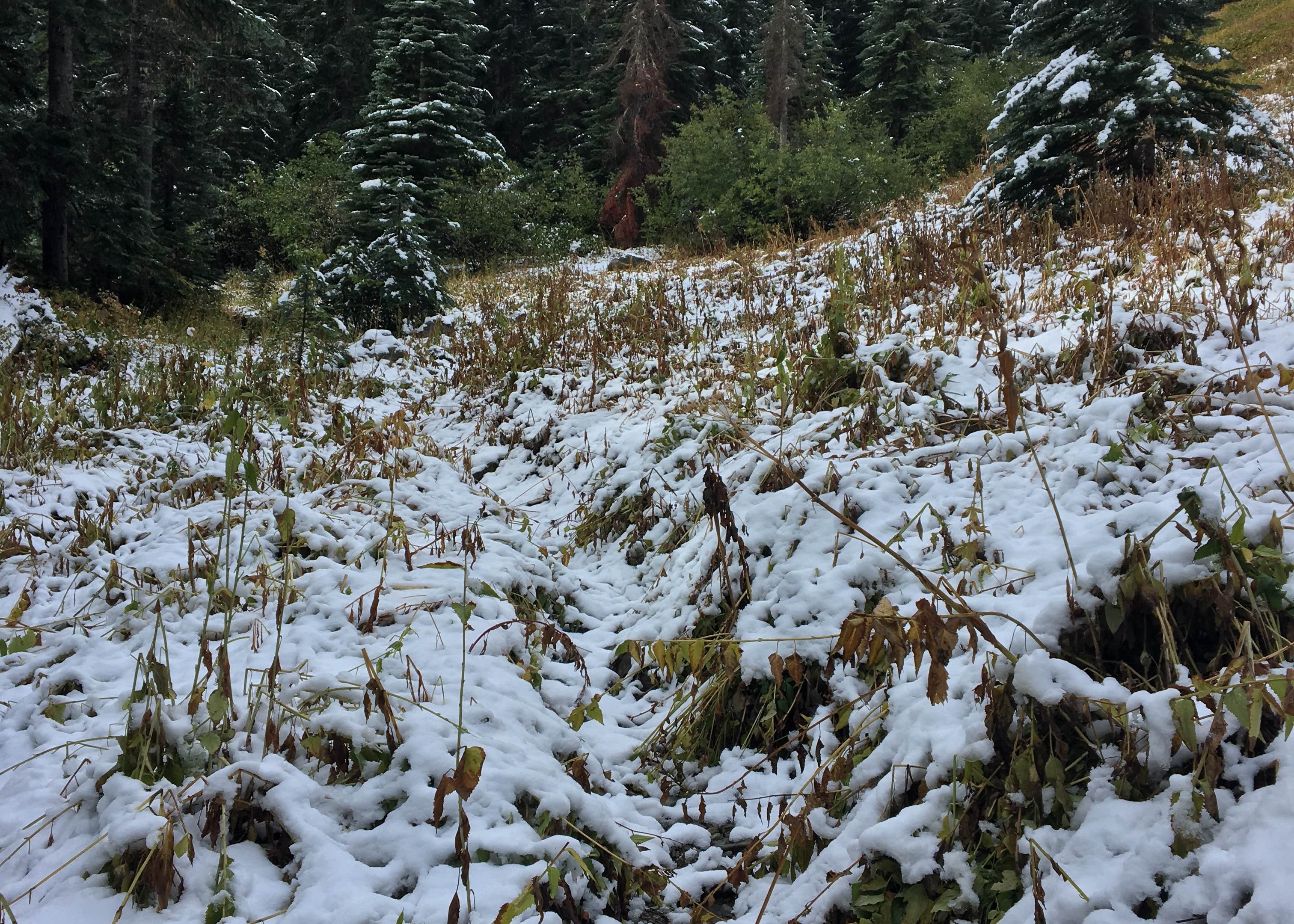 Thorp Lake Camping | The Dyrt