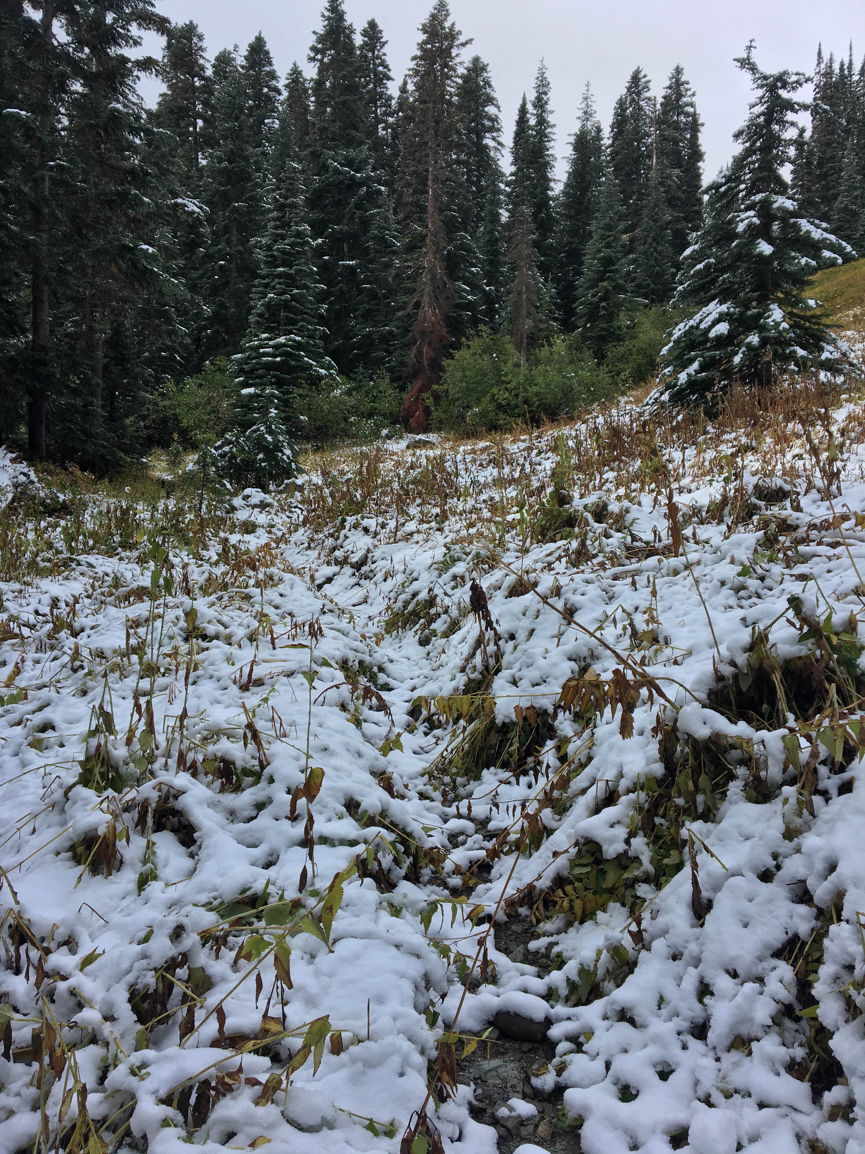 Thorp Lake Camping | Easton, WA