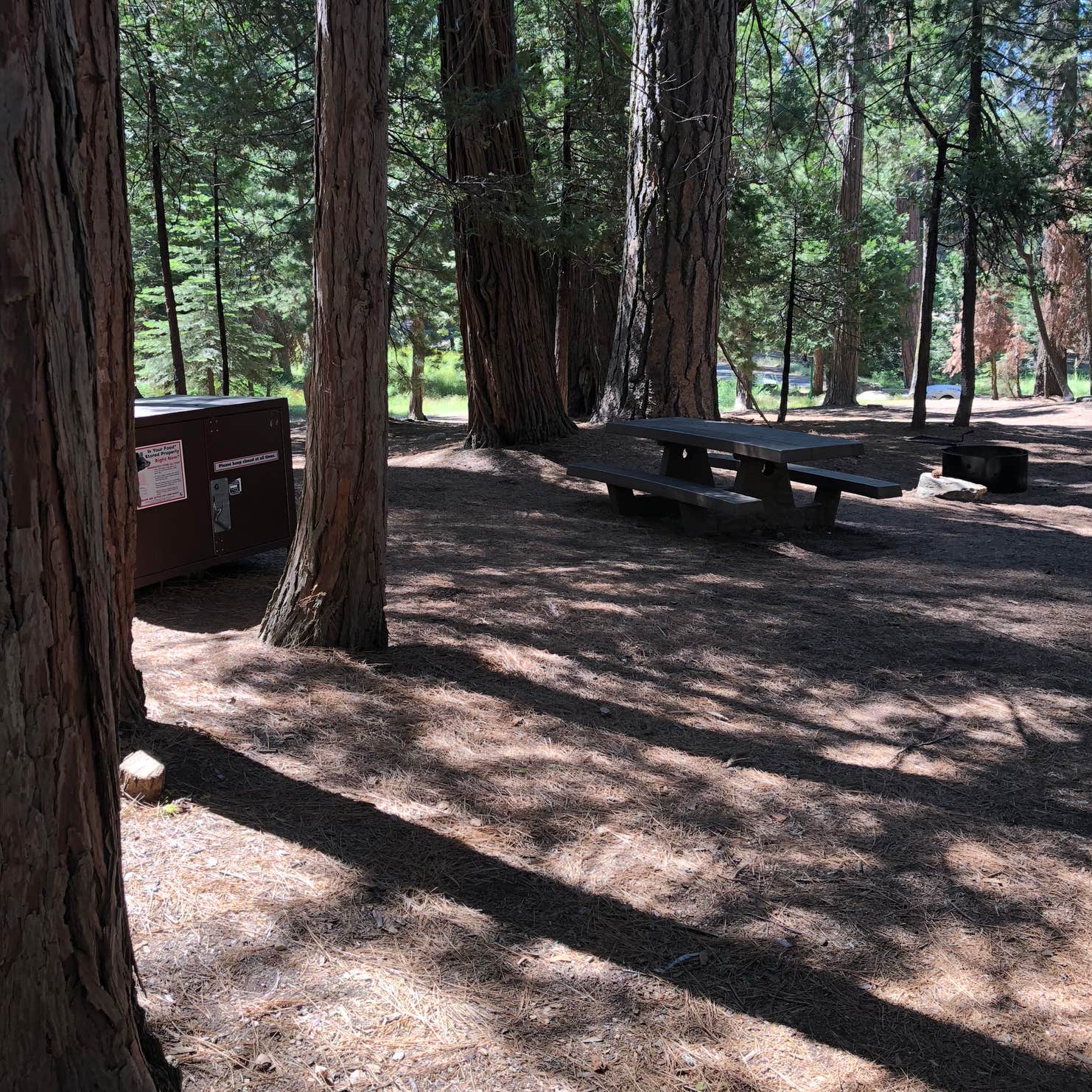 Sunset Point Campground | Mendocino National Forest, California