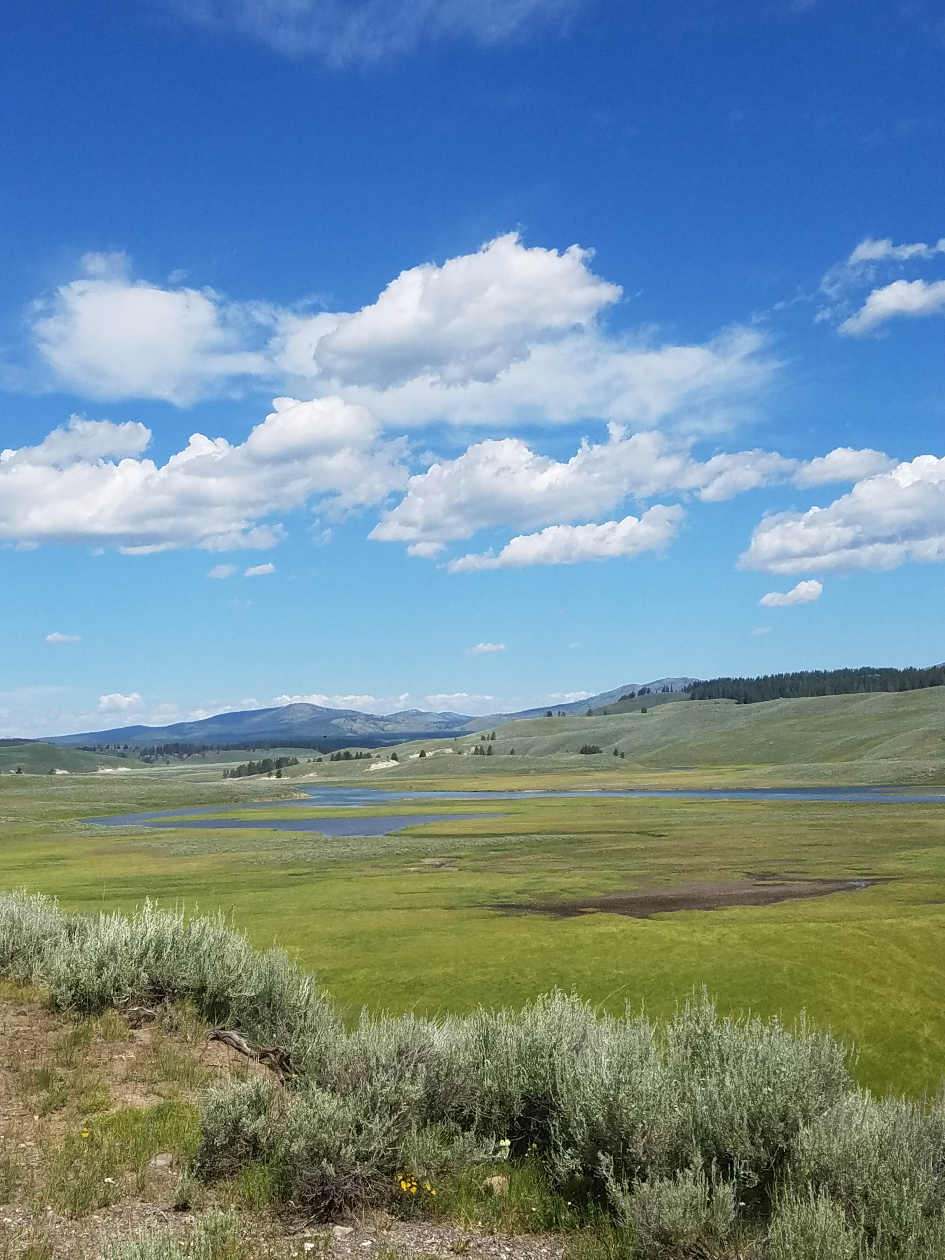 Grant Village Campground — Yellowstone National Park | Yellowstone ...