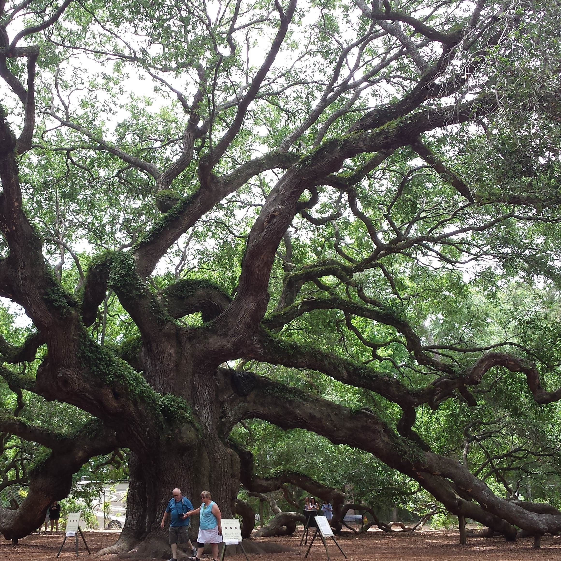 Colleton State Park Camping | The Dyrt