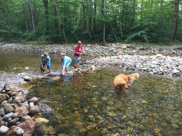 Maple Haven Camping Cottages | The Dyrt