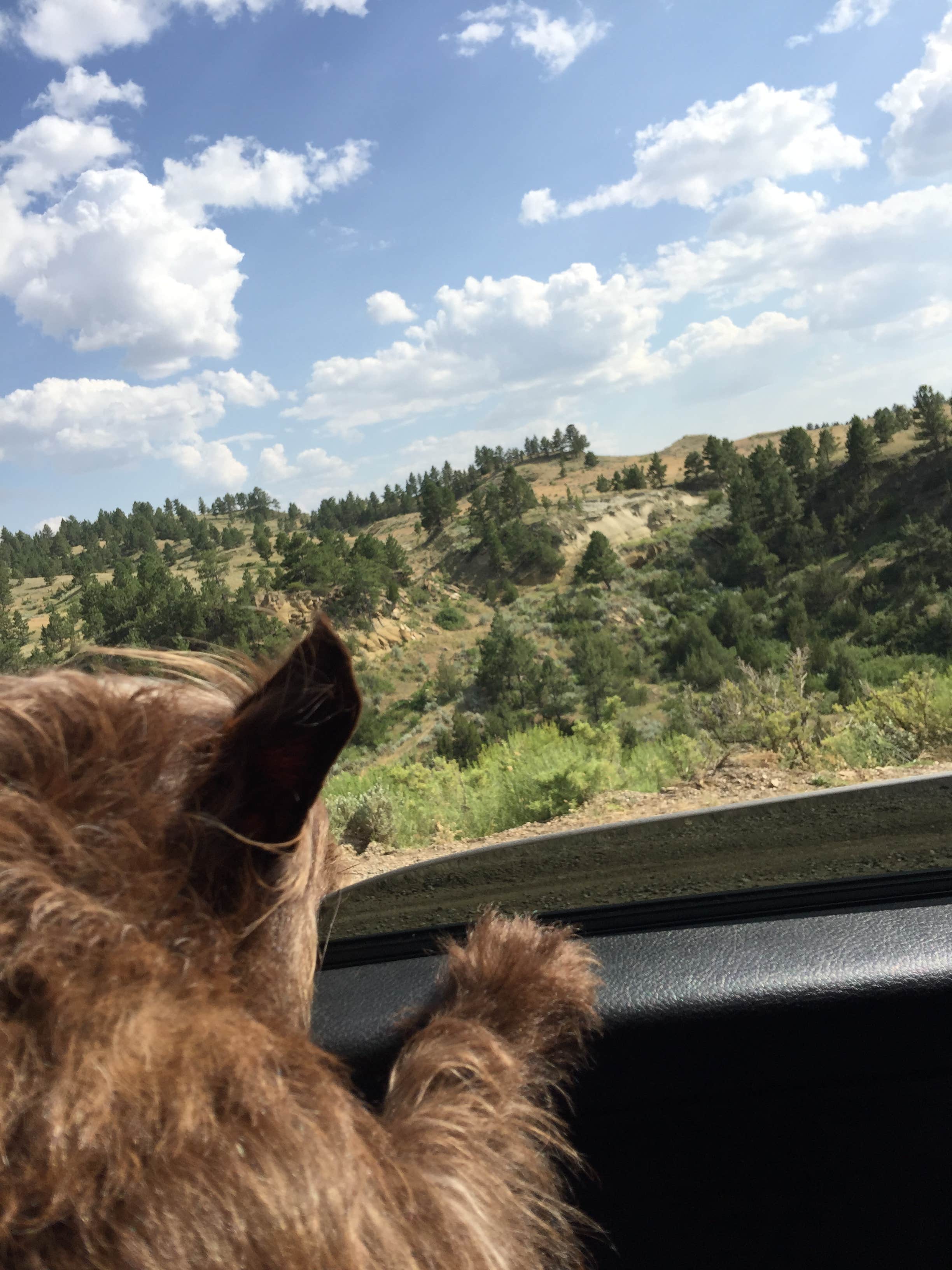 Hell Creek Receation Area Camping | Jordan, MT