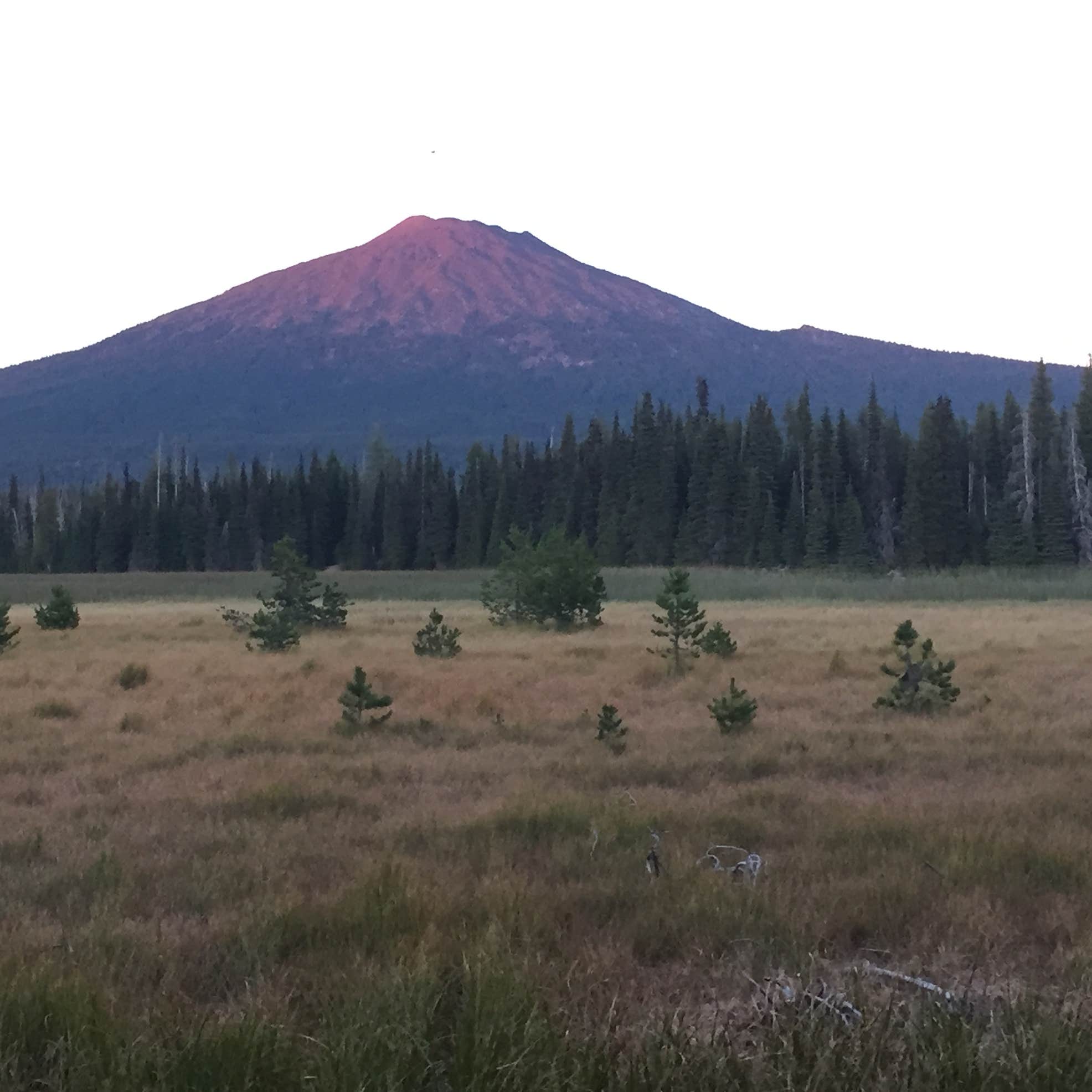 Mallard Marsh Campground Camping | The Dyrt