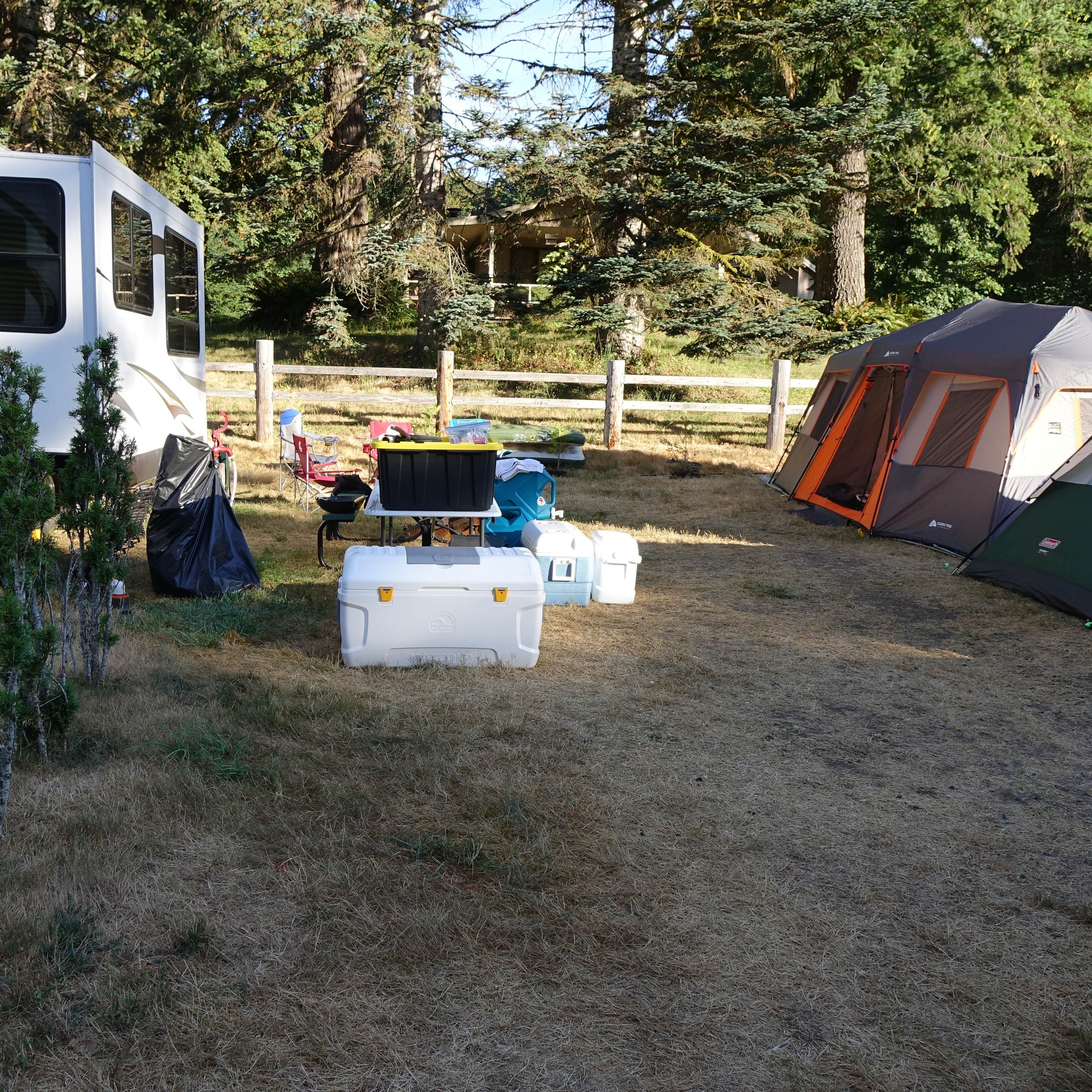 Lone Fir Resort Camping | The Dyrt