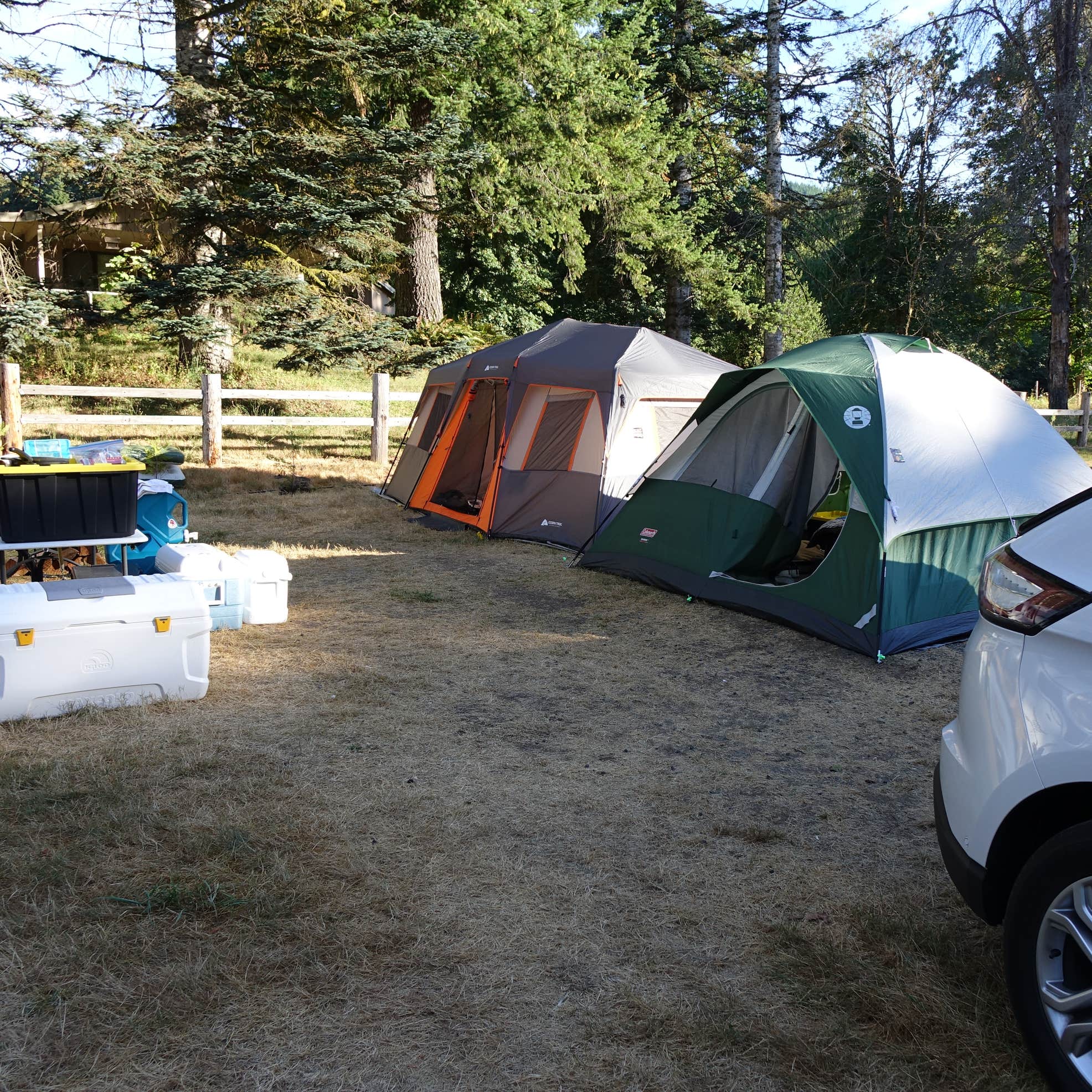 Lone Fir Resort Camping | The Dyrt