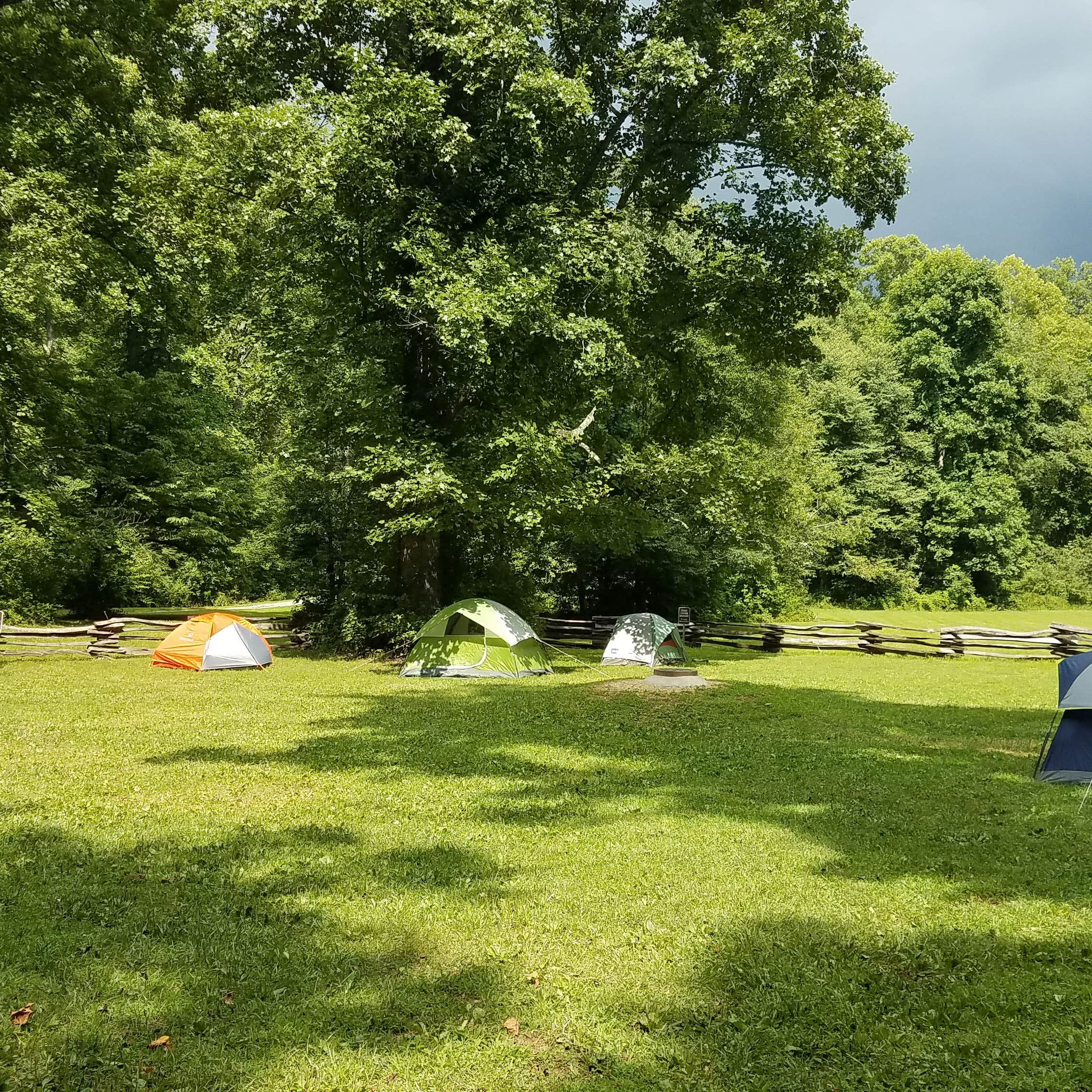 Escape To Paradise: Unplug And Unwind At North Mills River Campground, NC